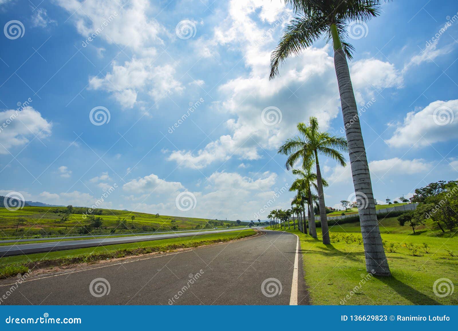 Nice Asphalt Road with Palm Trees Against Blue Sky and Cloud. Stock ...