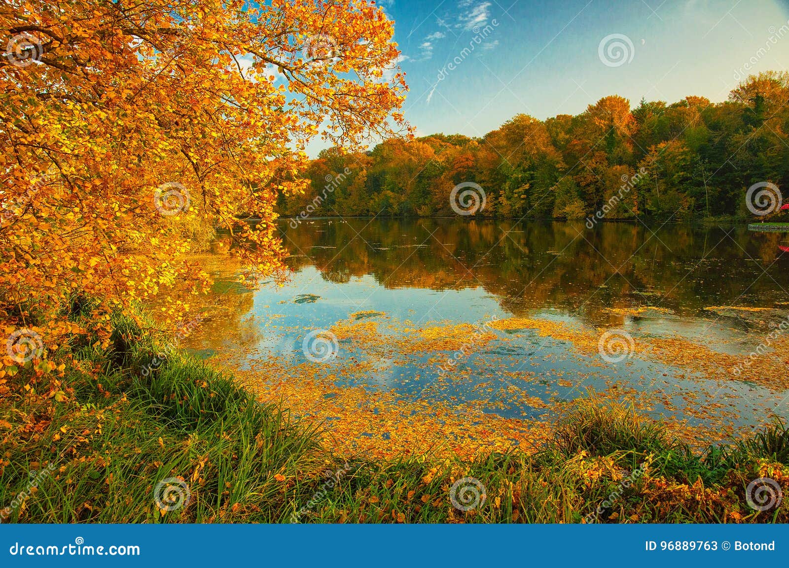 Nice autumnal scene stock image. Image of autumn, outdoor - 96889763