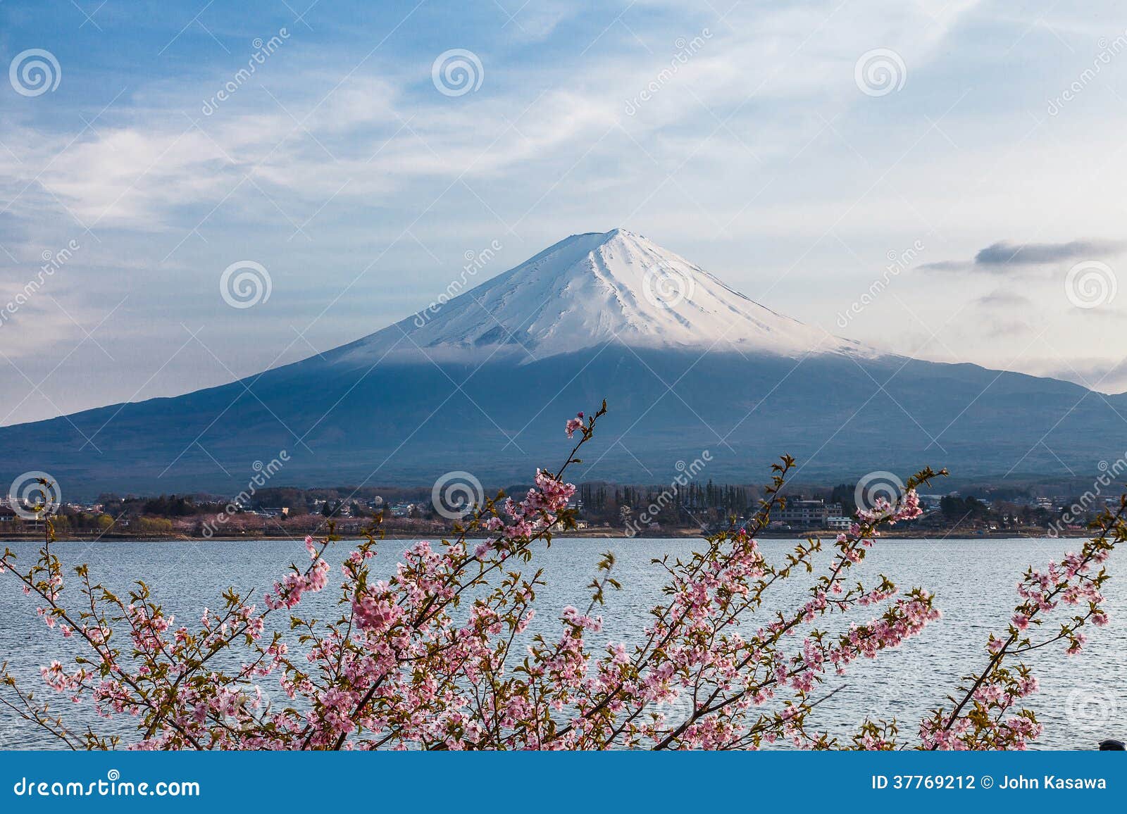 Nice and Beautiful Mount Fuji and Pink Cherry Blossoms in Spring Stock ...