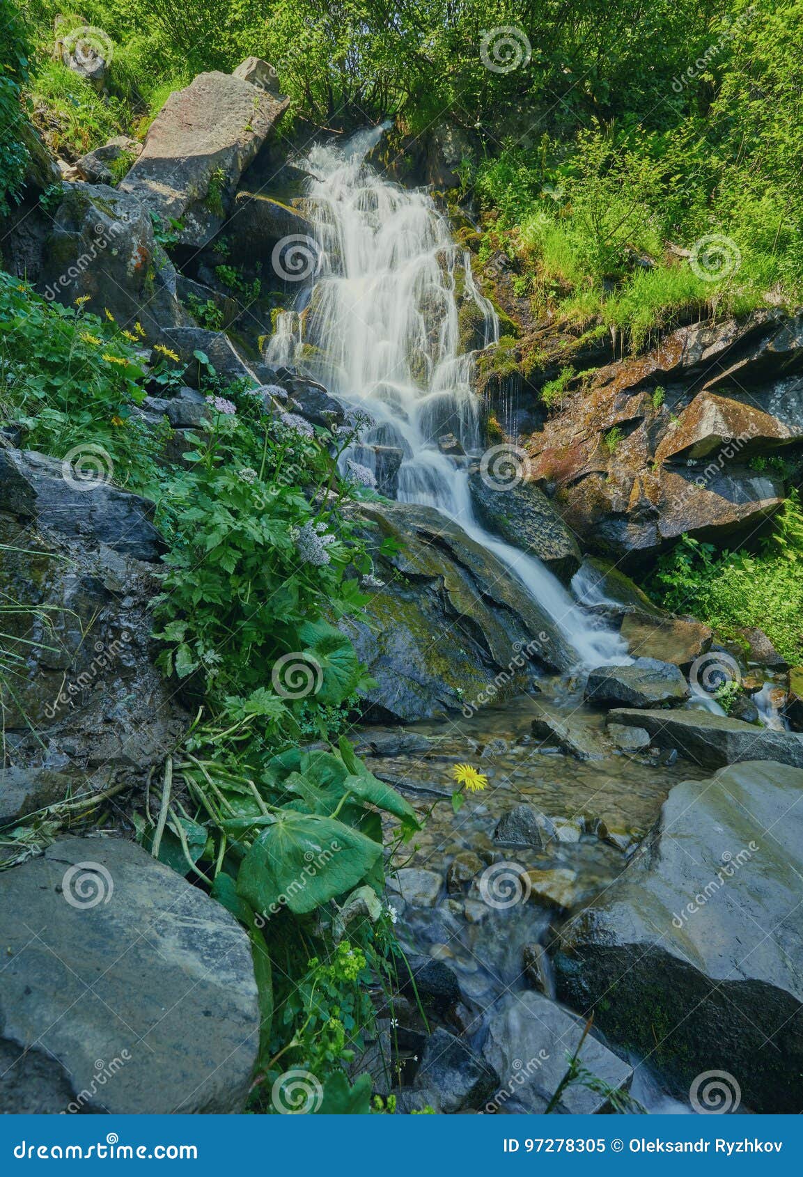Nice Beautiful Mountain Stream Stock Image - Image of calming ...