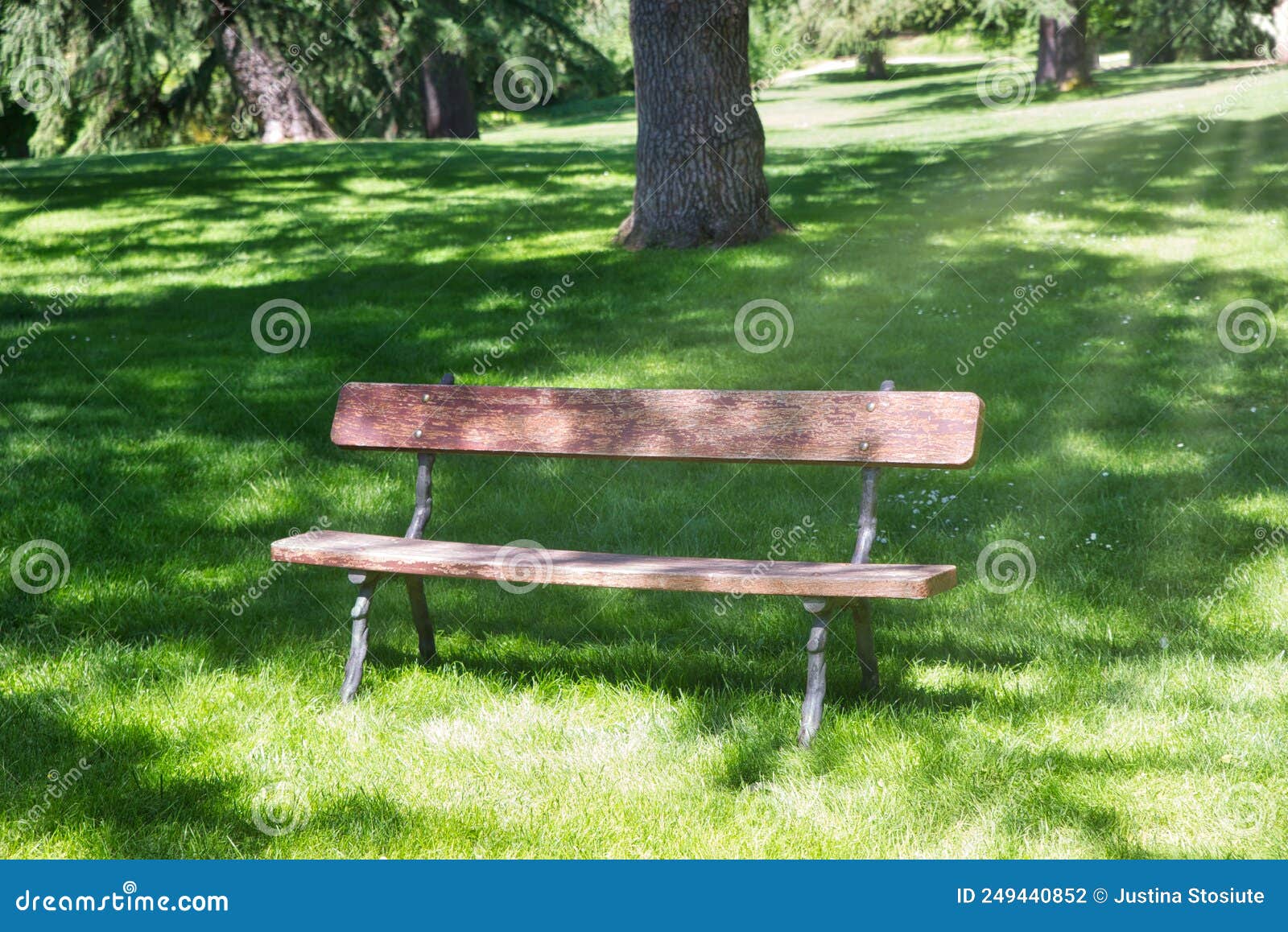 Nice Bench in a Park on a Sunny Day. Stock Photo - Image of background ...