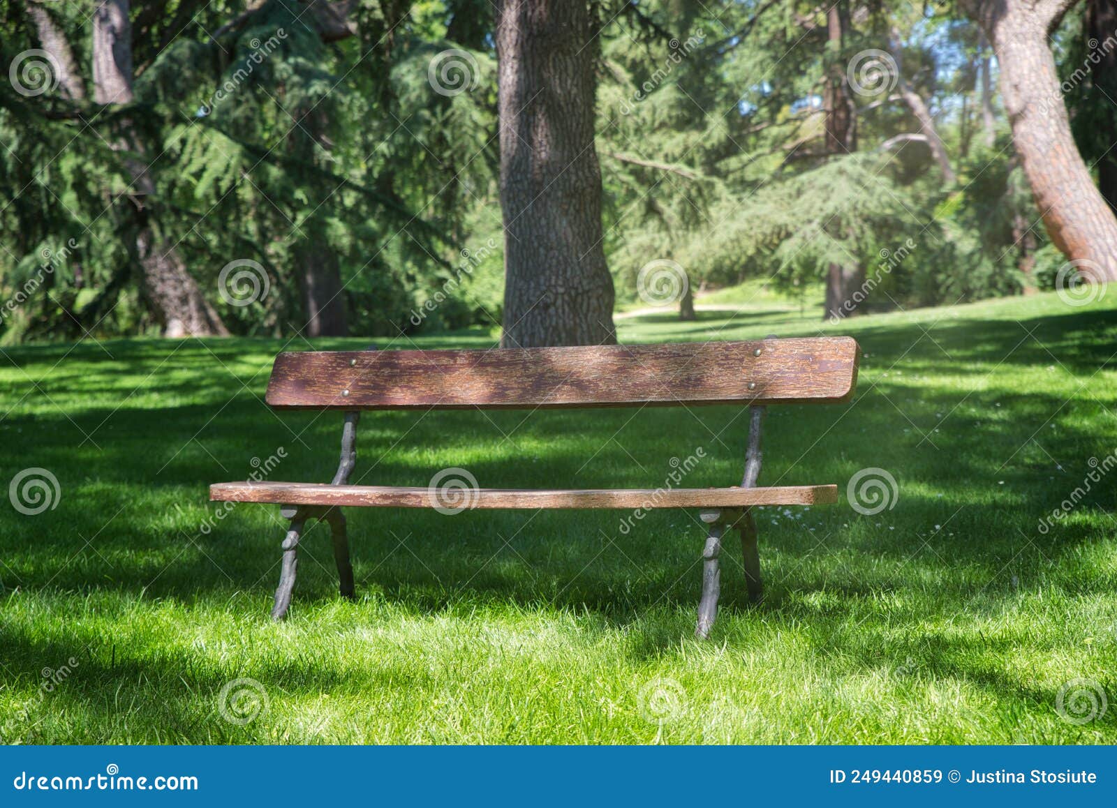 Nice Bench in a Park on a Sunny Day. Stock Image - Image of furniture ...
