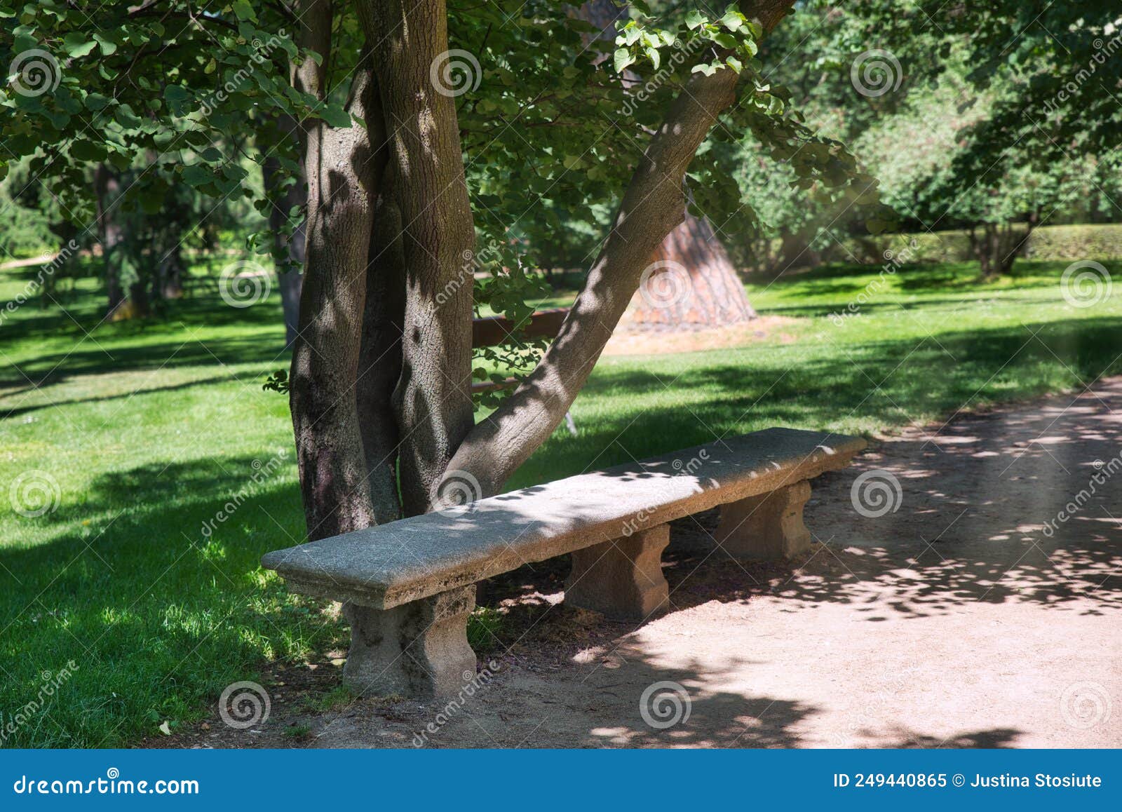 Nice Bench in a Park on a Sunny Day. Stock Image - Image of background ...