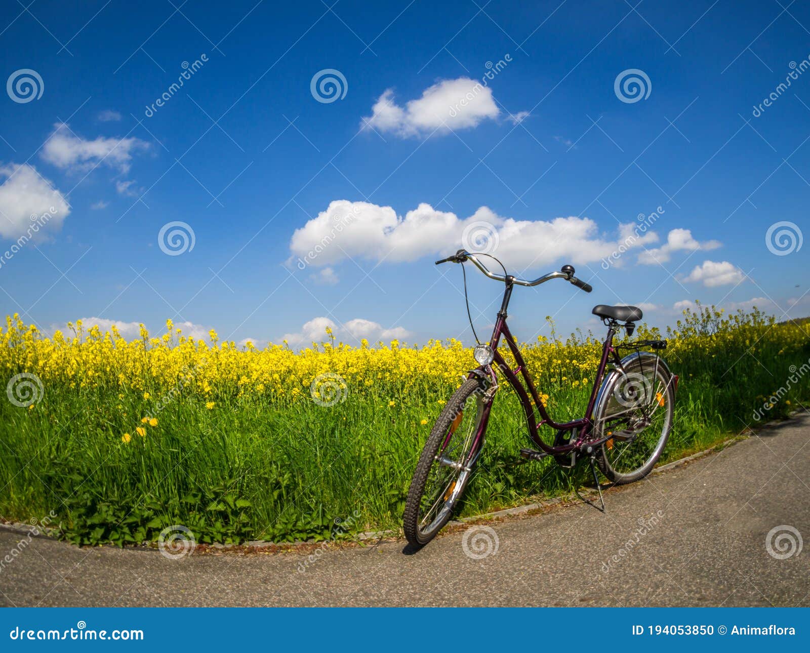 Nice Bicycle Tour in Spring Stock Photo - Image of bicycle, people ...
