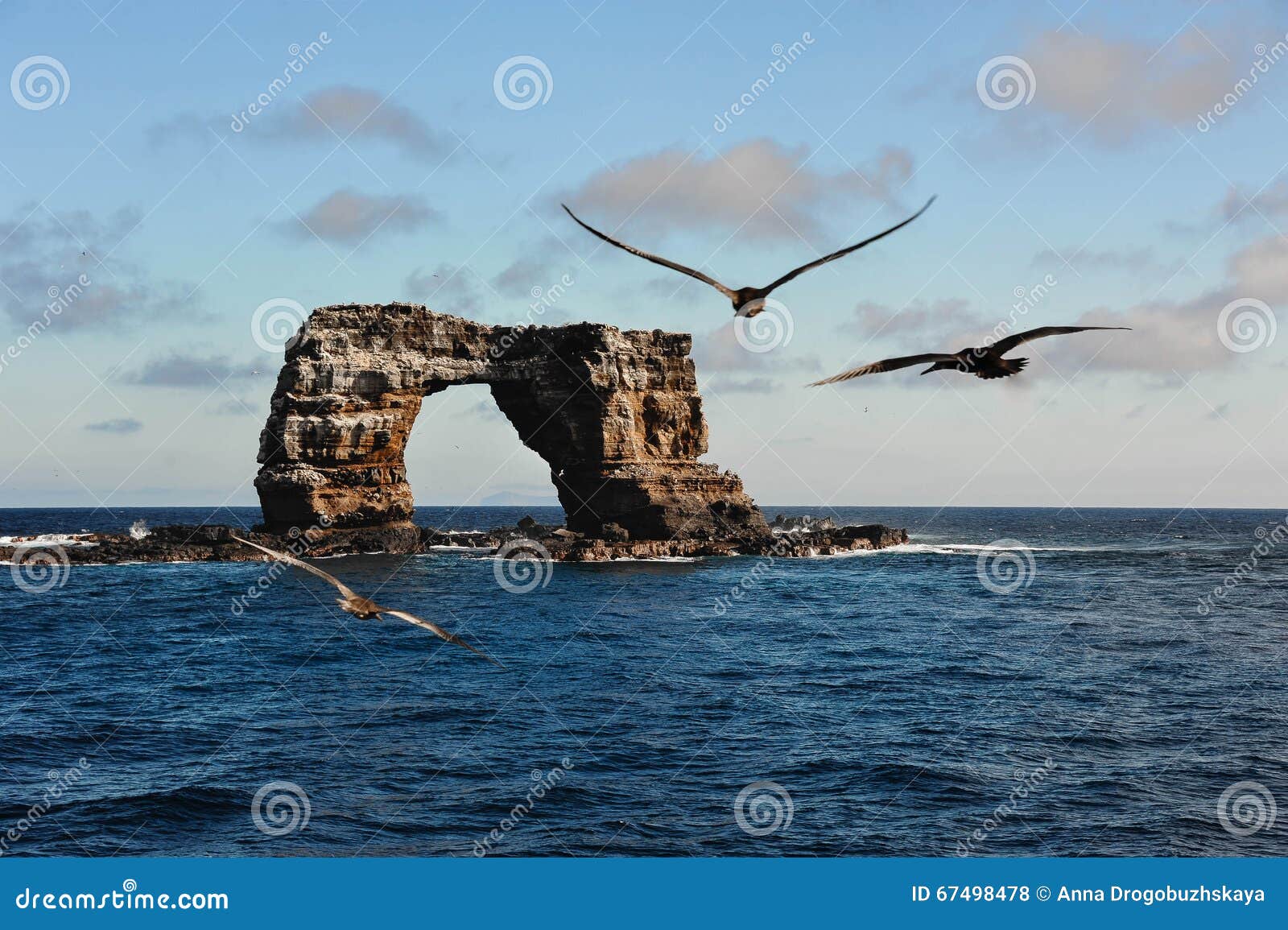 Nice Big Birds Flying Over Arch in the Pacific Ocean. Stock Photo ...