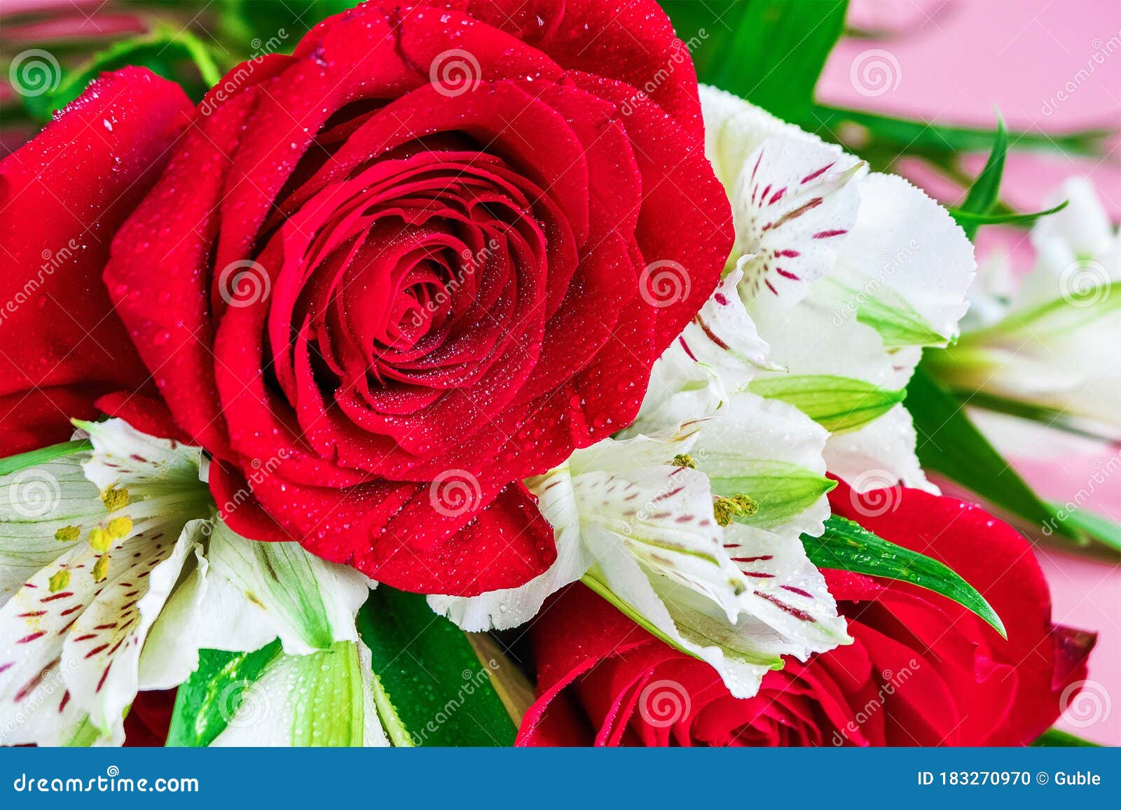 Nice Bouquet Red Roses in Celebration Concept Close Up Stock Photo ...