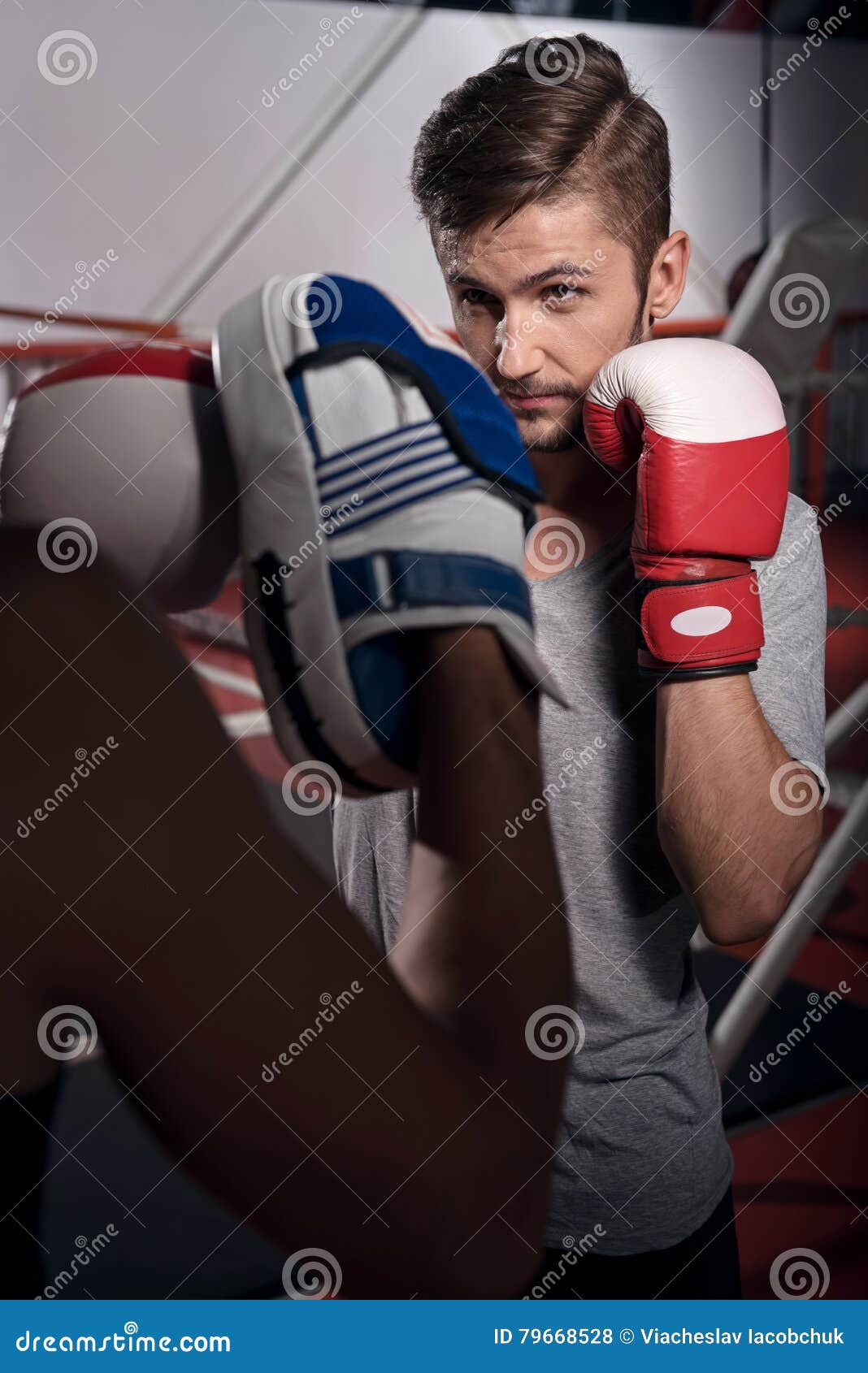 Nice Boxer Training Hook on Pad Stock Photo - Image of sport, martial ...