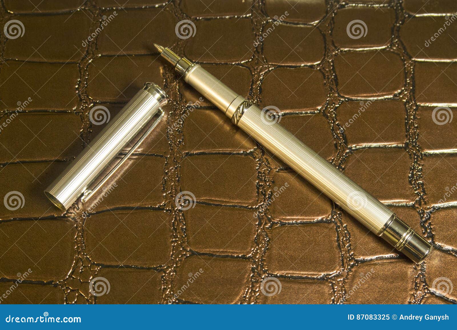 Nice Brown Notepad and a Steel Luxury Pen Stock Image - Image of male ...