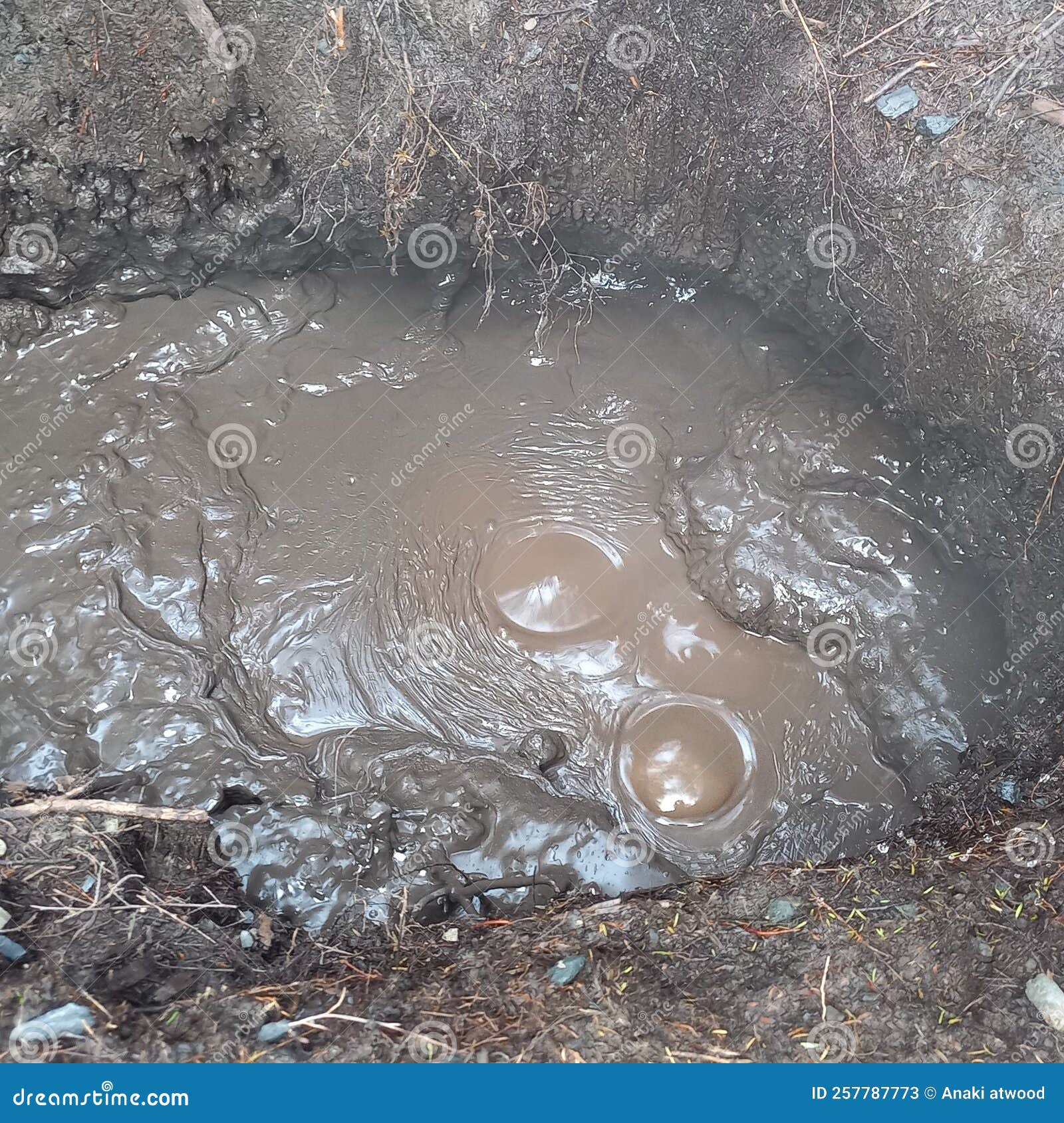 Nice bubbling mud stock image. Image of soil, freezing - 257787773