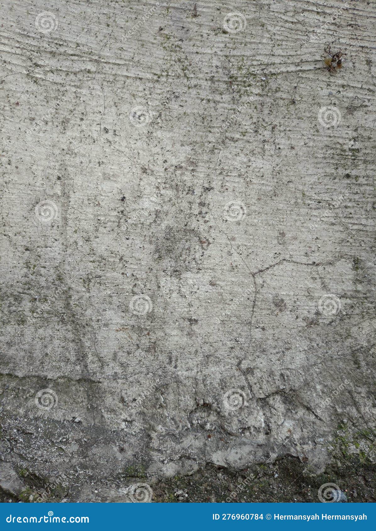 Nice Building Outer Wall Background Stock Photo - Image of brick, leaf ...