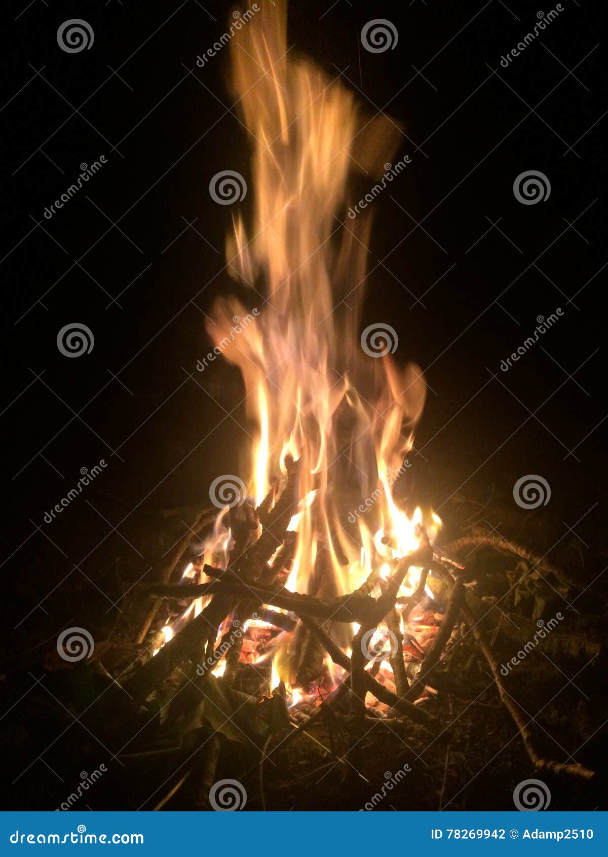 A nice campfire stock photo. Image of campfire, bright - 78269942