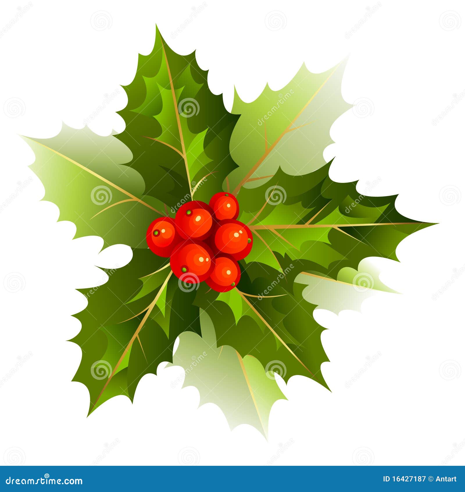 Holly Branch Cartoon Vector | CartoonDealer.com #16353457