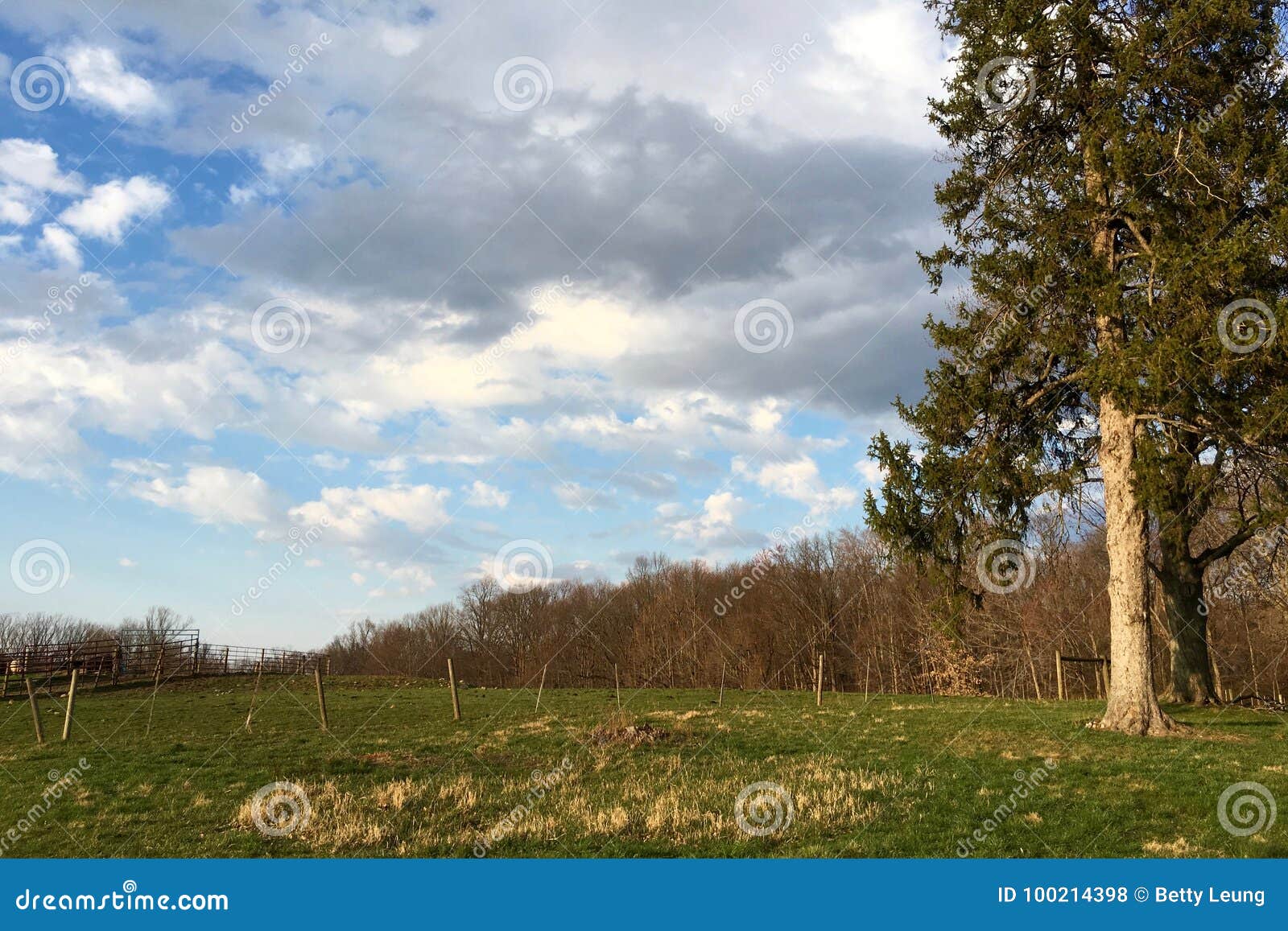 Nice Clear Spring Day in the Countryside in New York Stock Photo ...