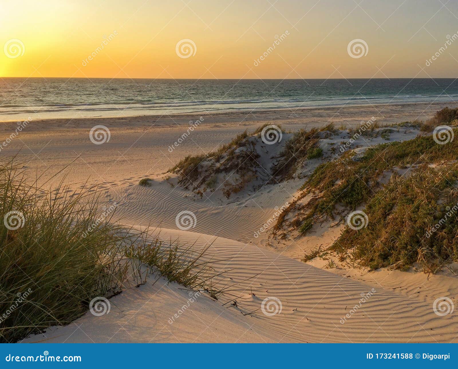 Nice Coastal from Australia Stock Photo - Image of coastal, dune: 173241588
