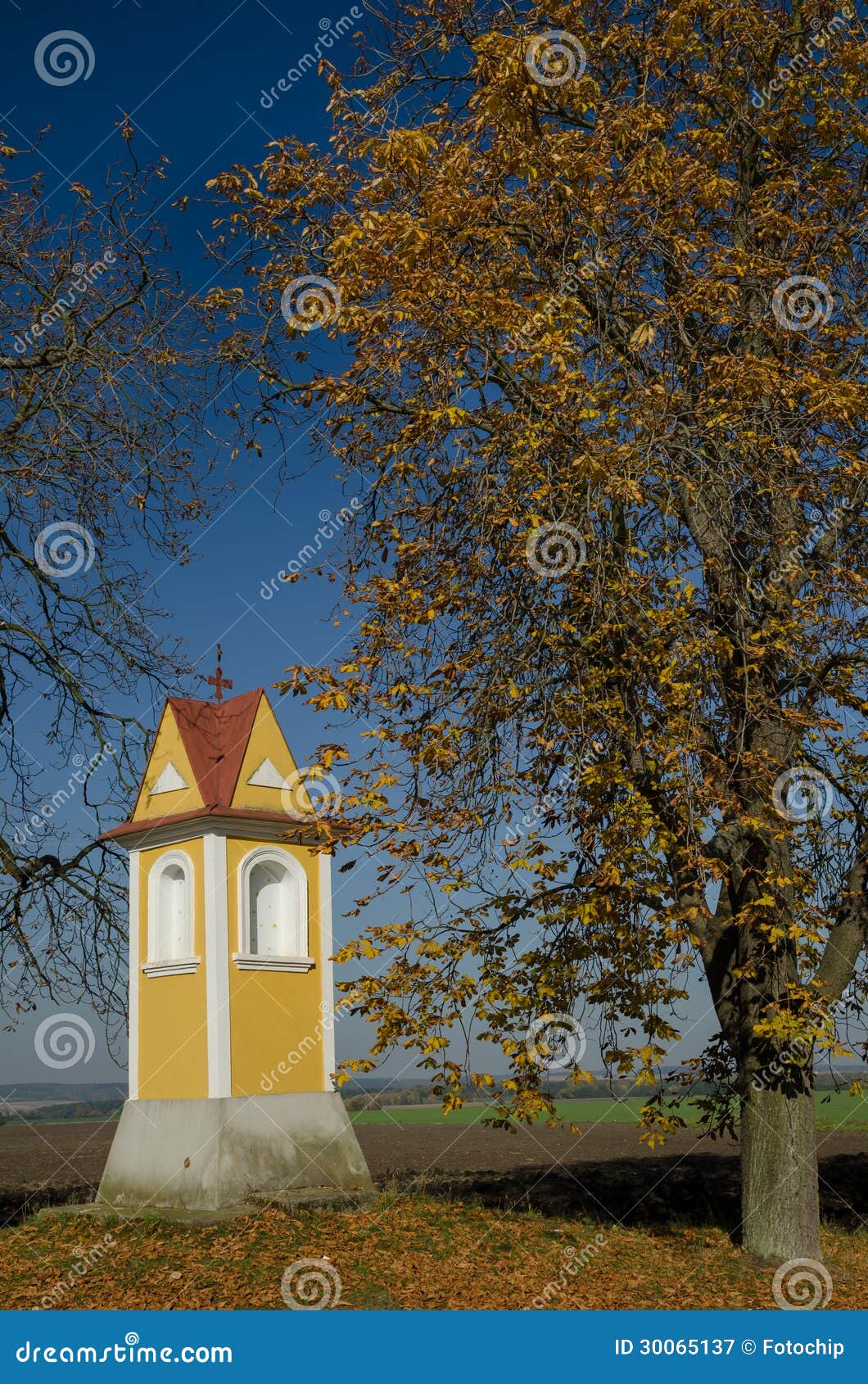 Calvary under the tree stock image. Image of branch, grass - 30065137