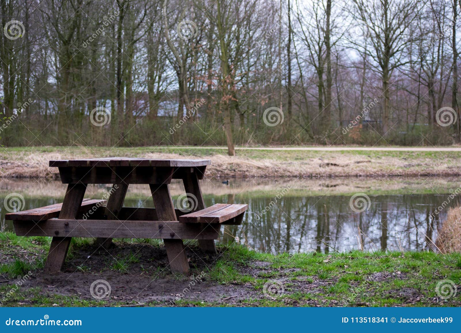 Picnic Table Bench in the Forest Nature Grass Trees Water Stock Image ...