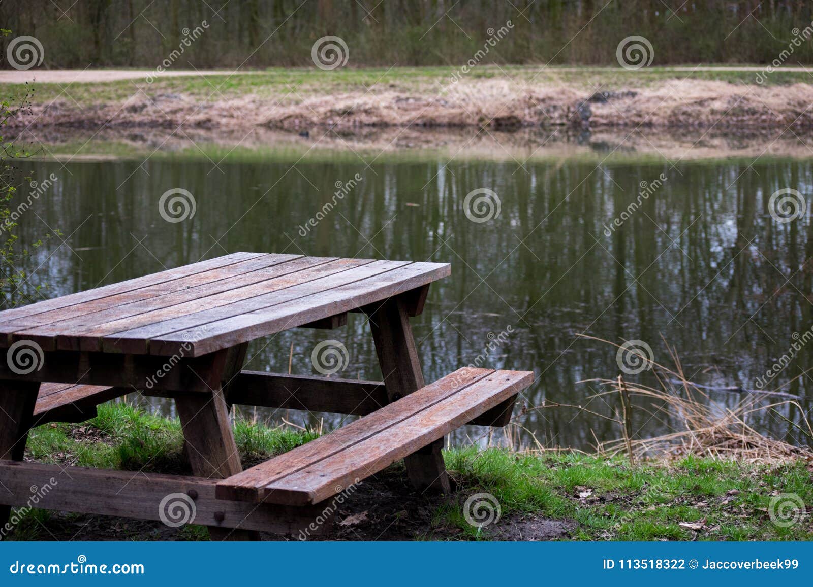 Picnic Table Bench in the Forest Nature Grass Trees Water Stock Photo ...