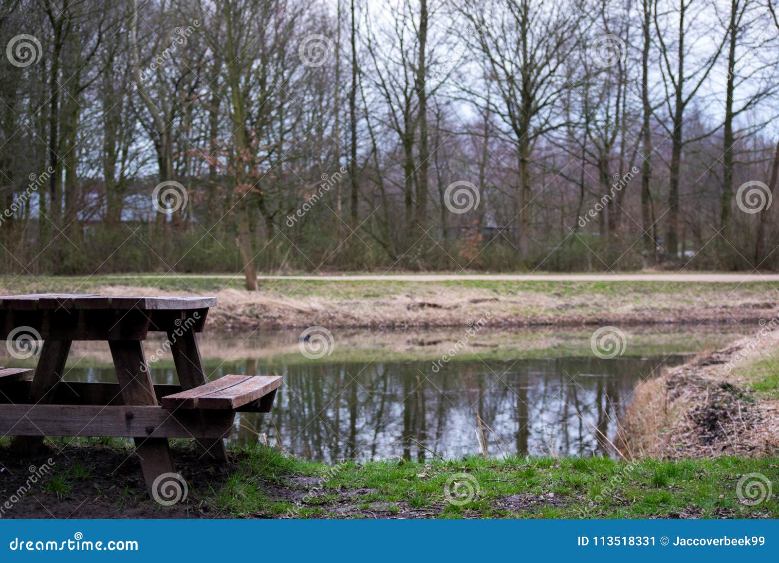 Picnic Table Bench in the Forest Nature Grass Trees Water Stock Image ...