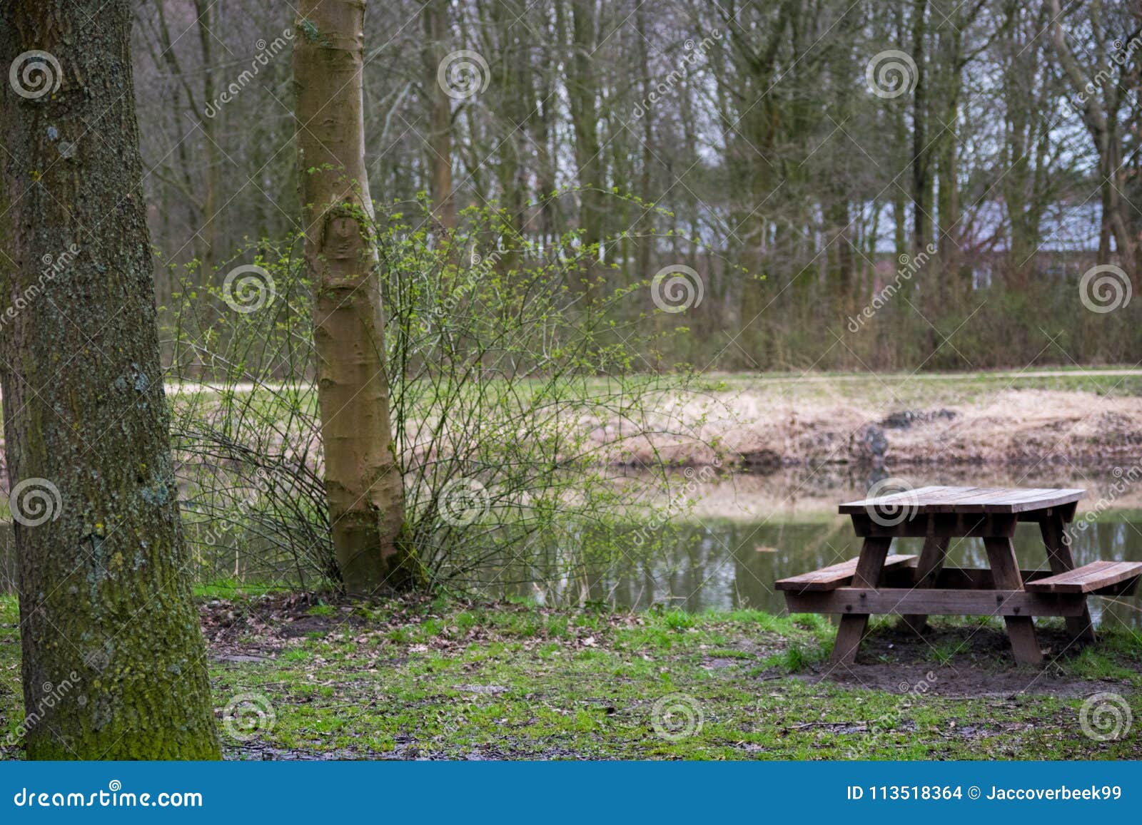 Picnic Table Bench in the Forest Nature Grass Trees Water Stock Photo ...