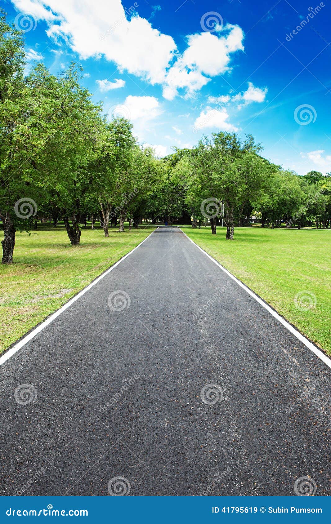 Nice Country Road with Blue Sky Stock Image - Image of curve, journey ...