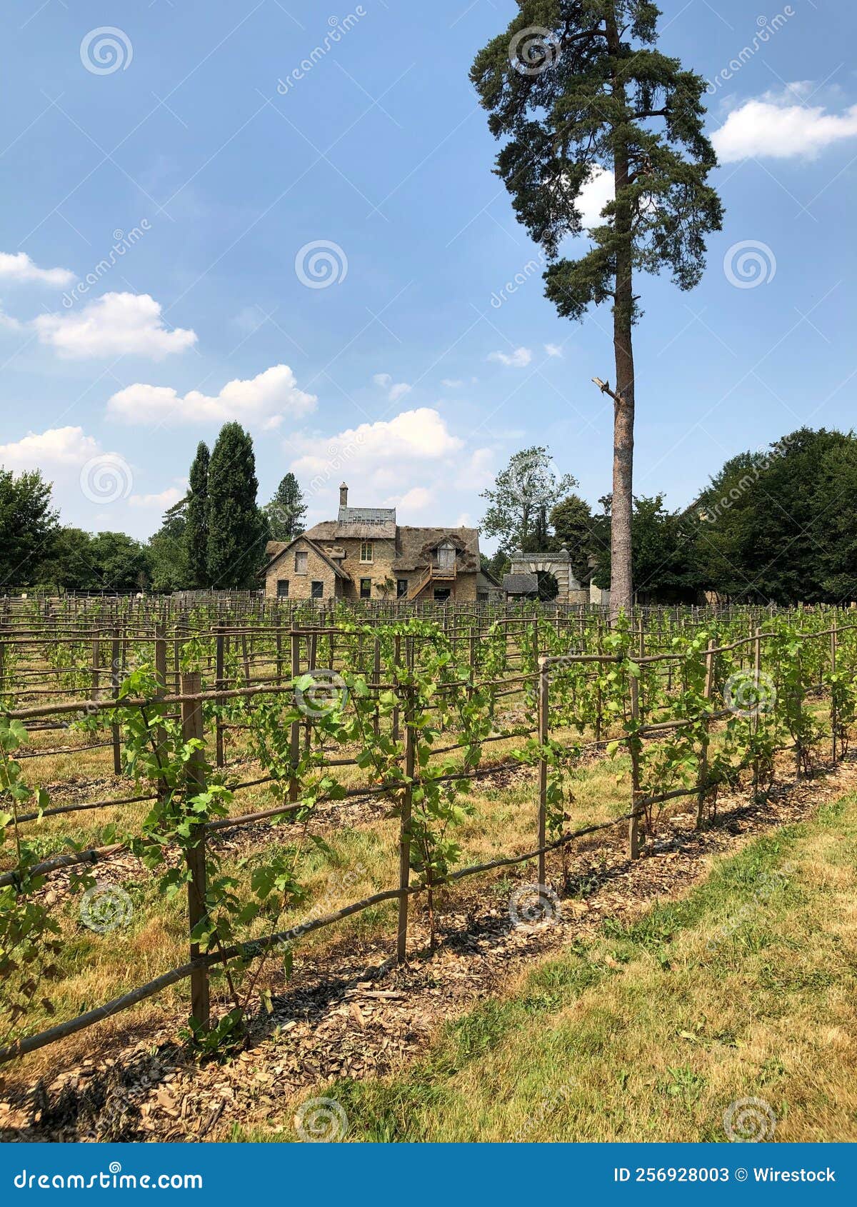 Nice Countryside House with a Yard Stock Image - Image of summer, farm ...