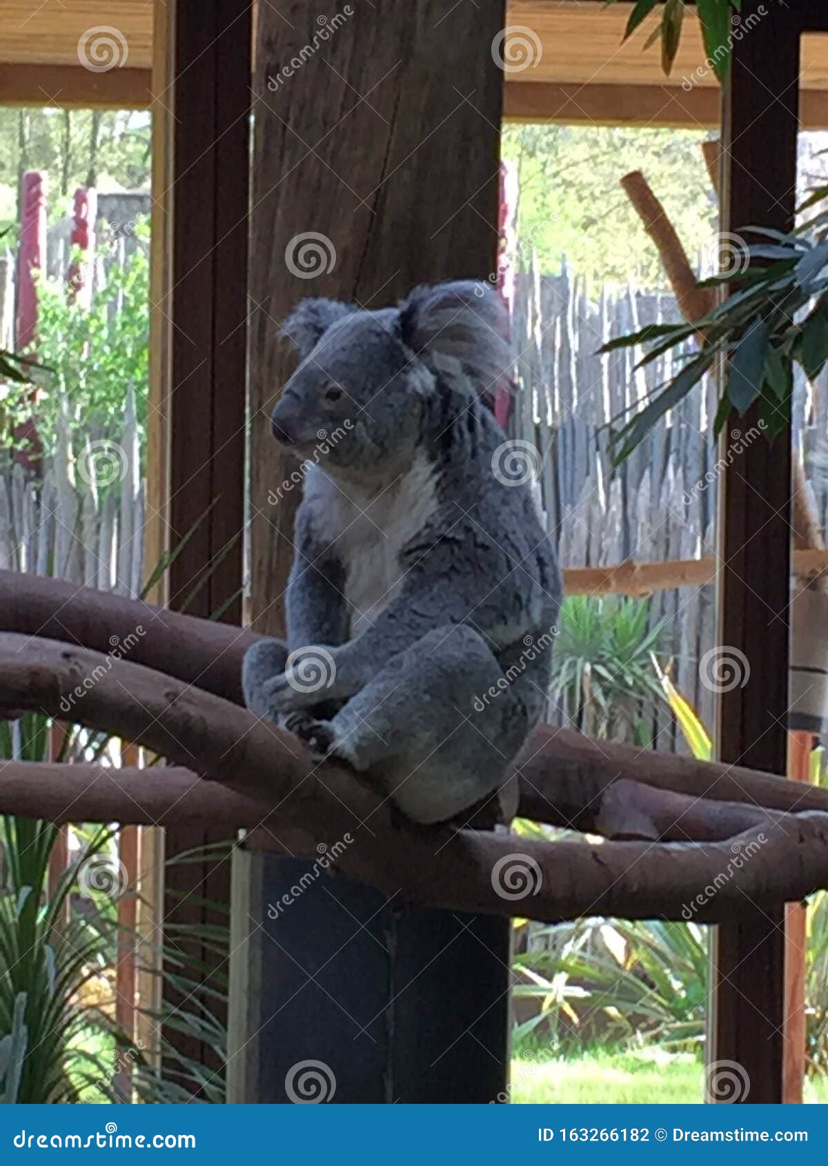 Nicekuala Stock Photos - Free & Royalty-Free Stock Photos from Dreamstime