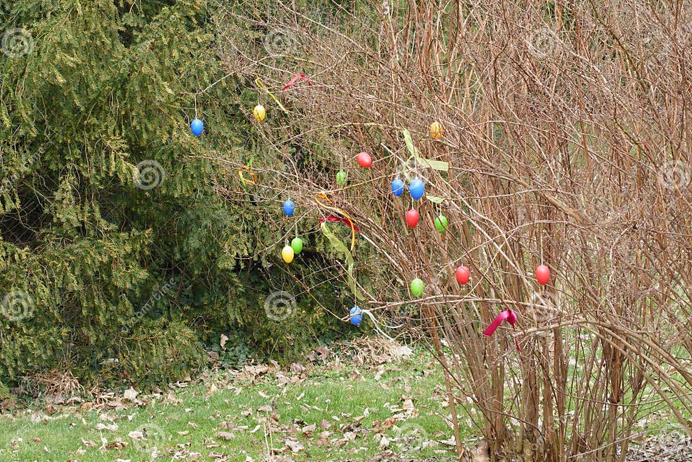 Easter egg shrub stock photo. Image of tradition, celebration - 113619652