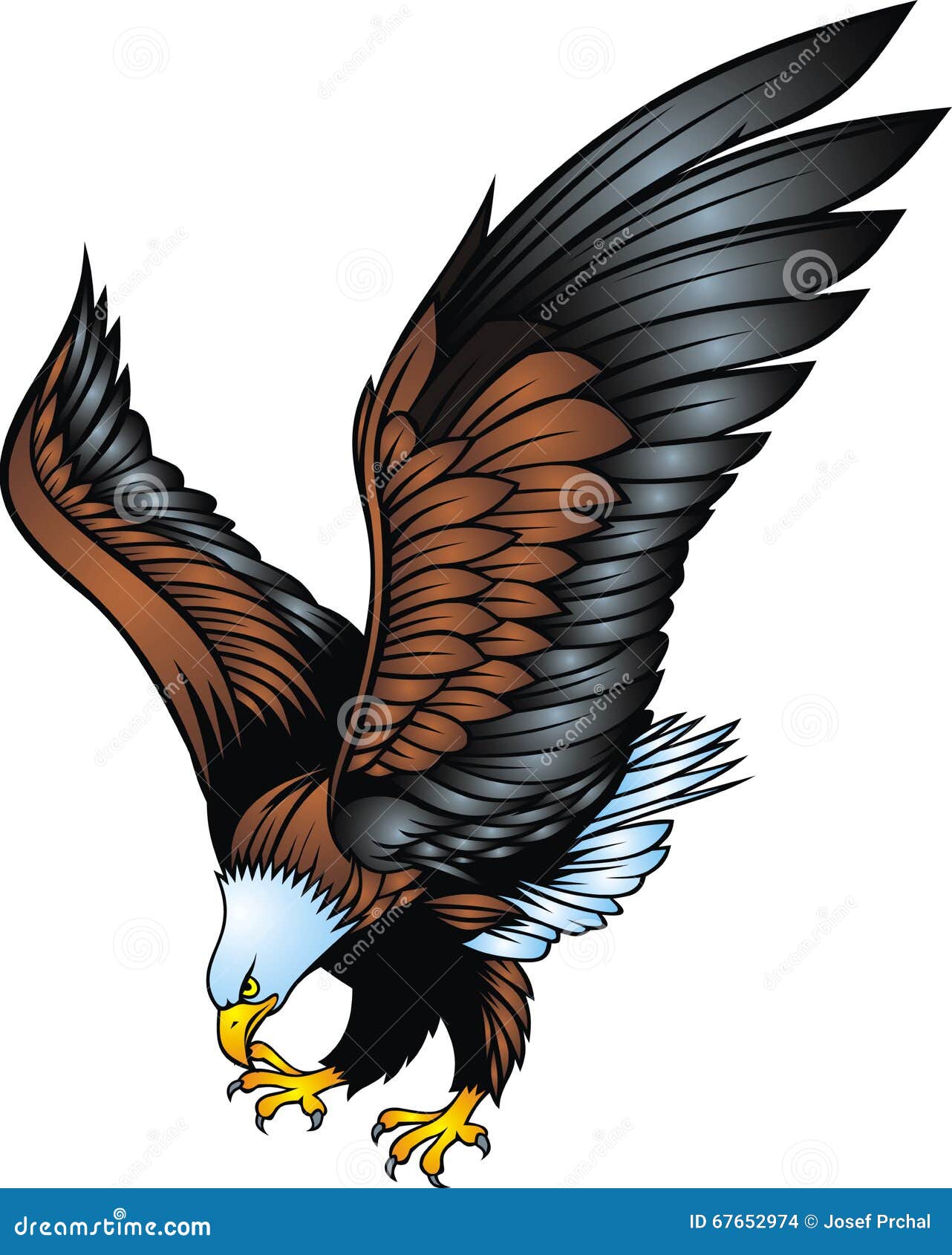 Nice eagle isolated stock vector. Illustration of freedom - 67652974