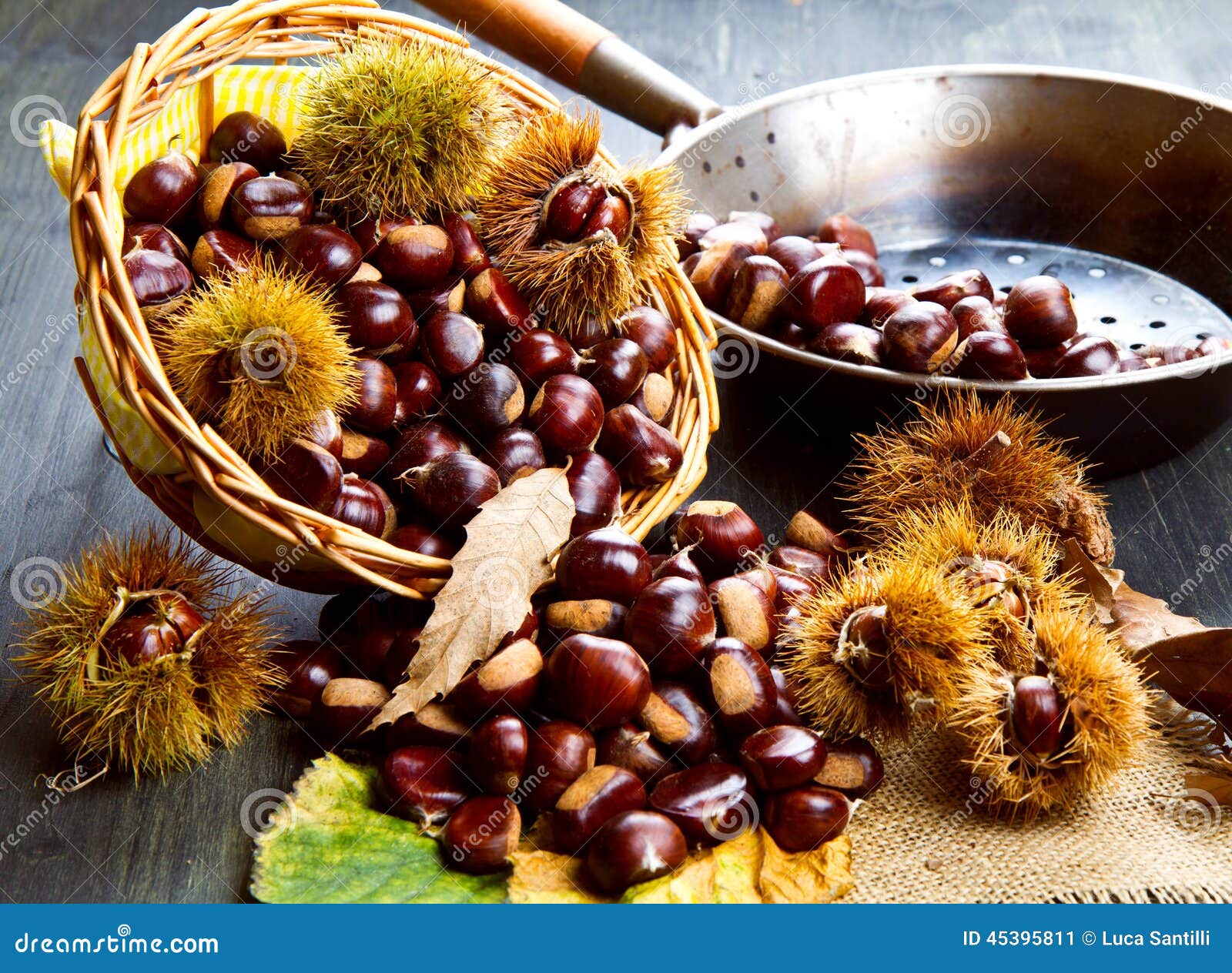 Nice edible chestnuts stock image. Image of prickly, chestnut - 45395811