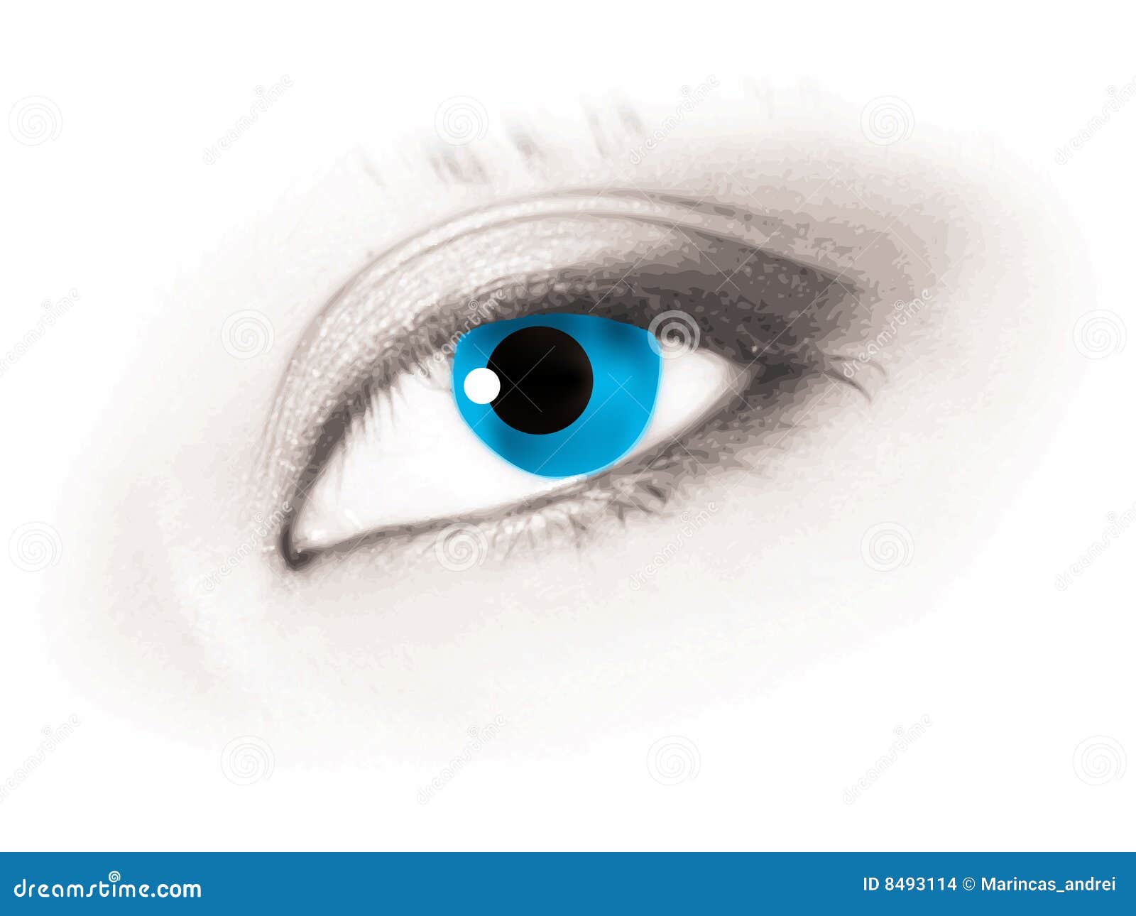 Nice eye stock vector. Illustration of close, look, digital - 8493114