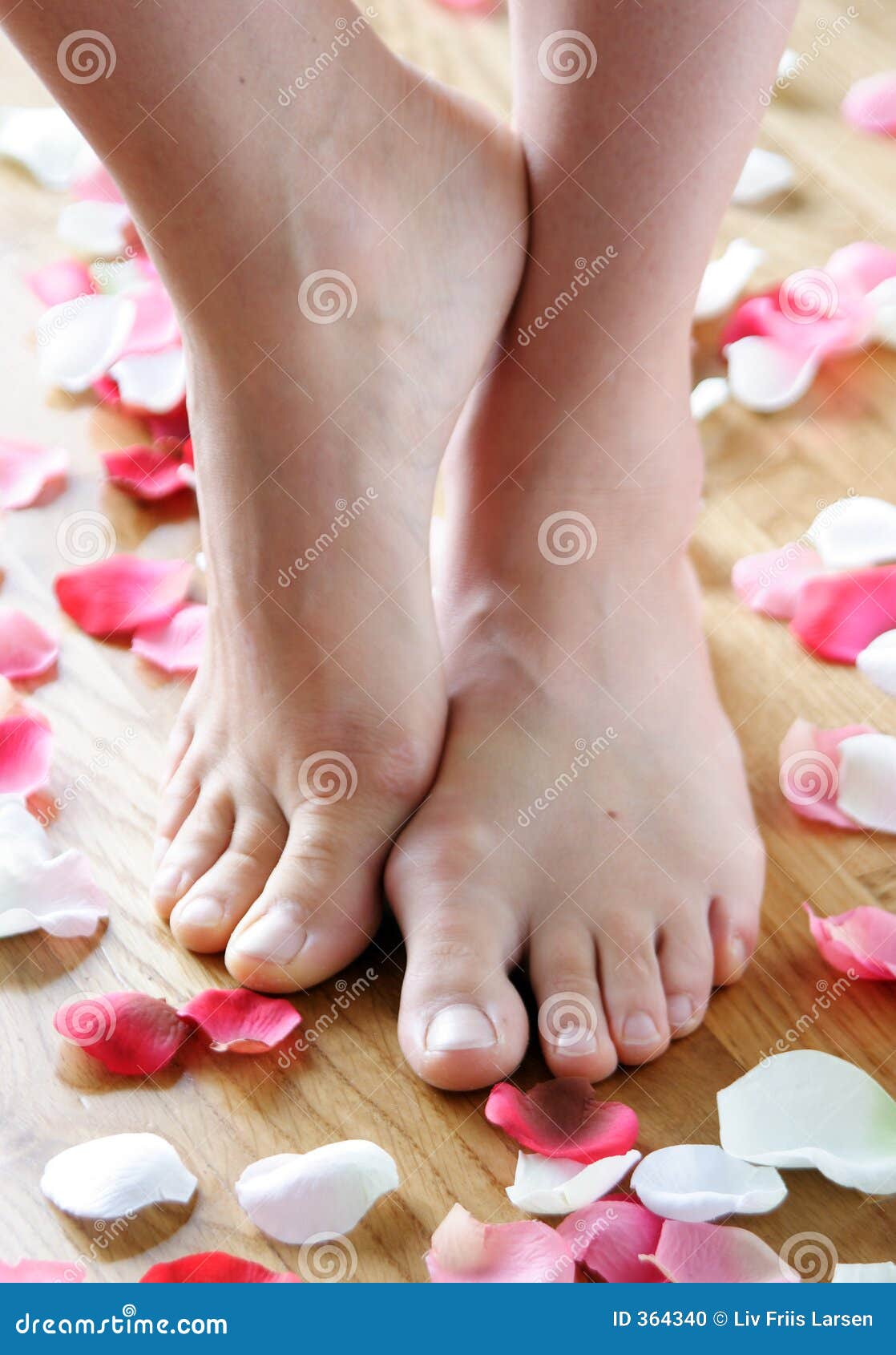Nice feet stock photo. Image of perfume, beauty, health - 364340