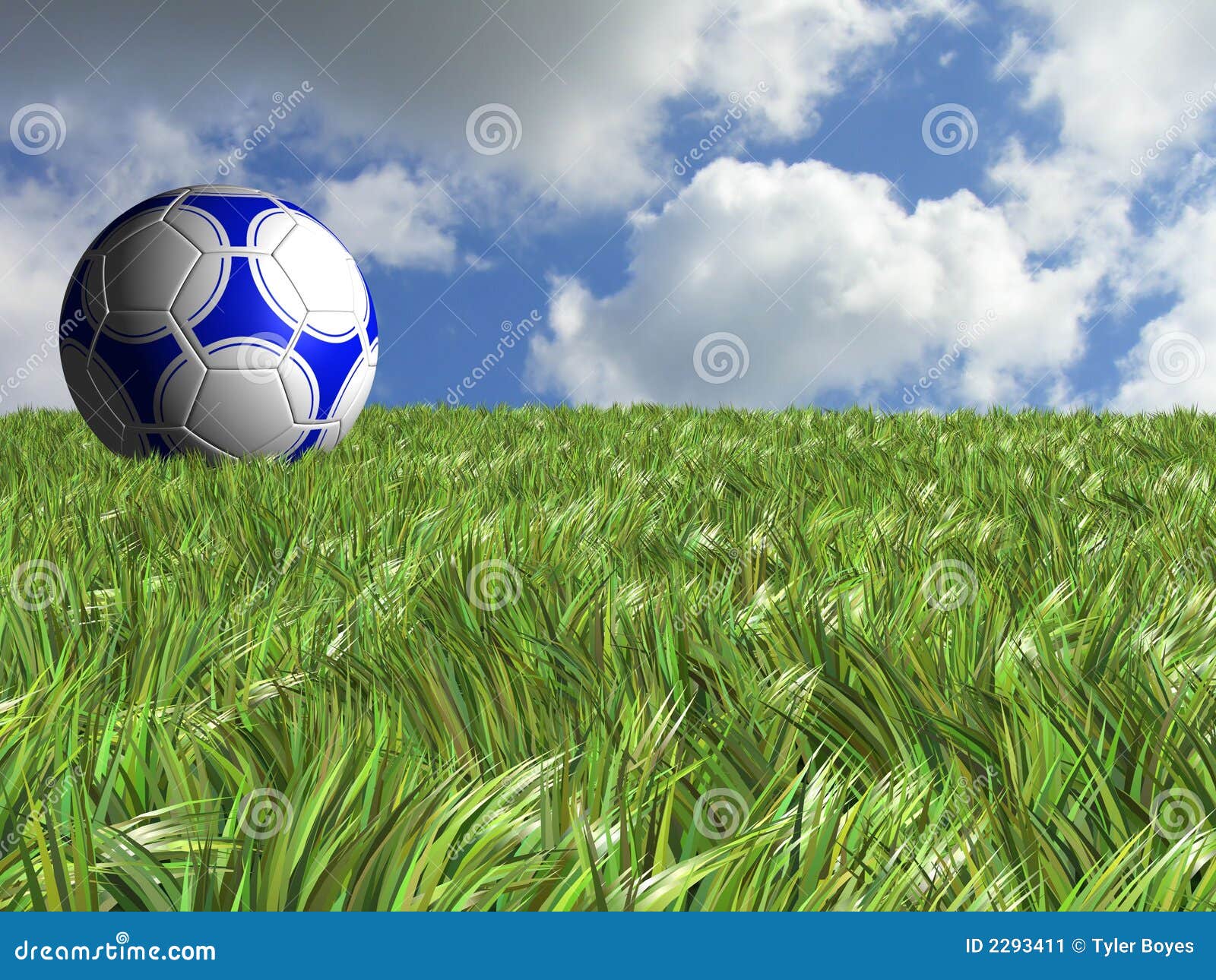 Nice Field Picture. Image: 2293411