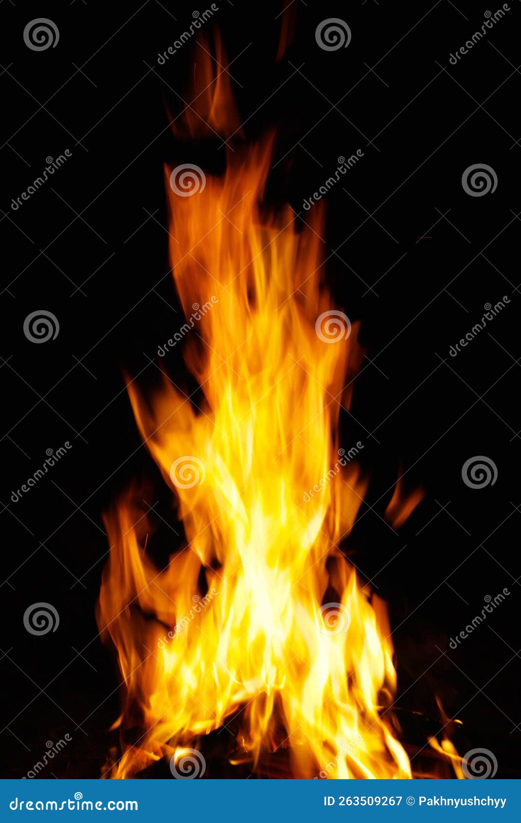 A nice fire in a fire stock image. Image of fire, flame - 263509267