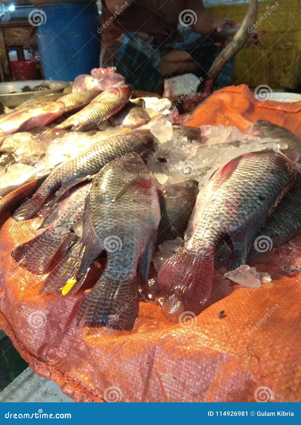 Nice fish of bazar stock image. Image of bazar, nice - 114926981