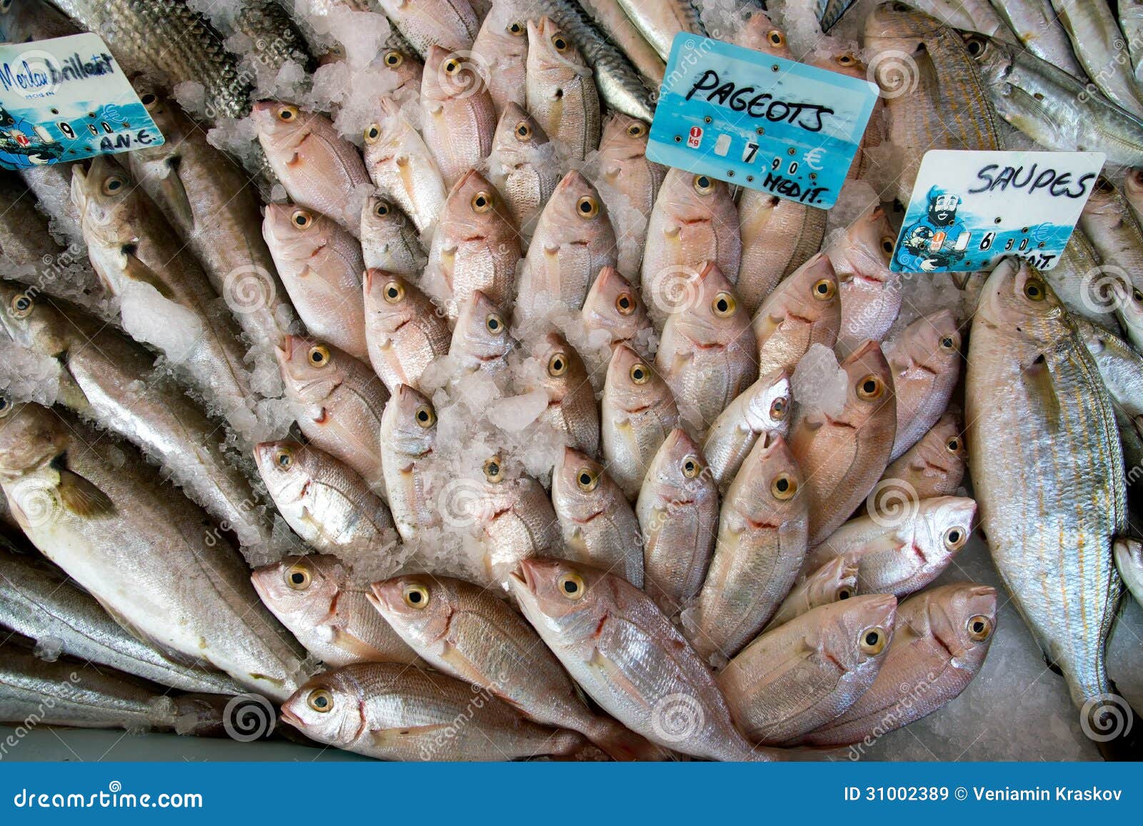 Nice - Fish Market stock image. Image of counter, ocean - 31002389