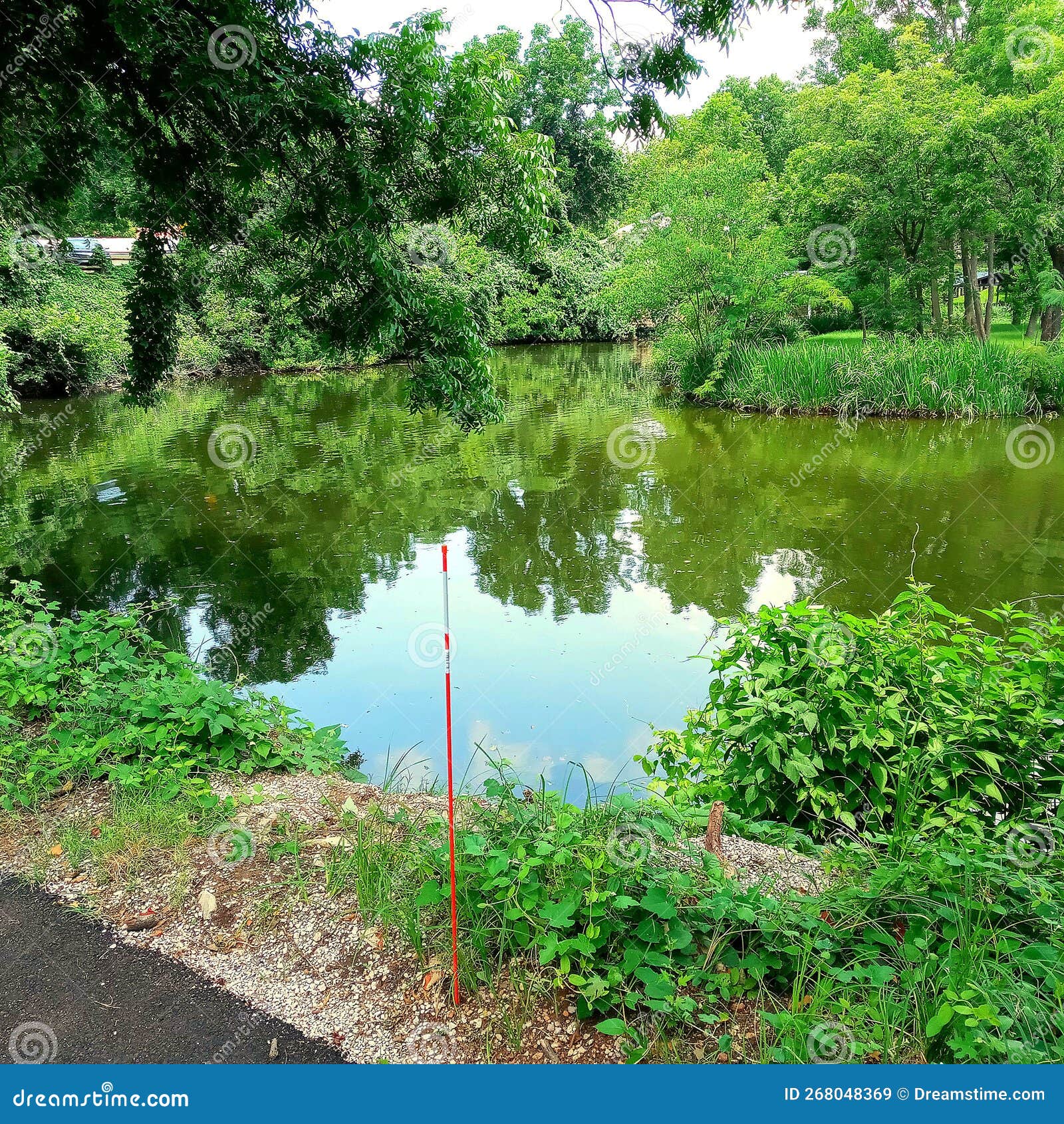 Nice fishing spot stock image. Image of shrub, lawn - 268048369