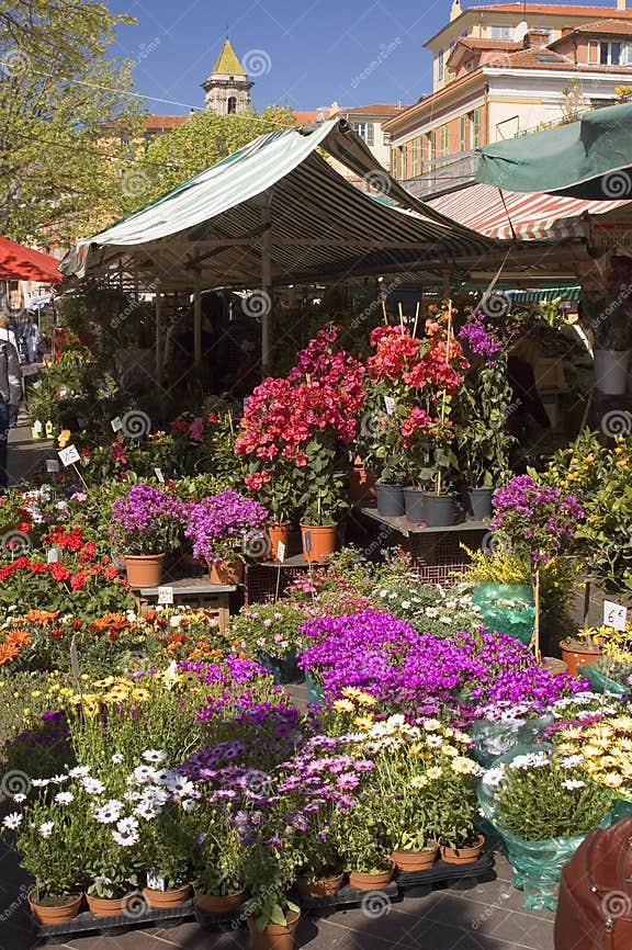 Nice Flower Market stock image. Image of fleur, garden - 8804583