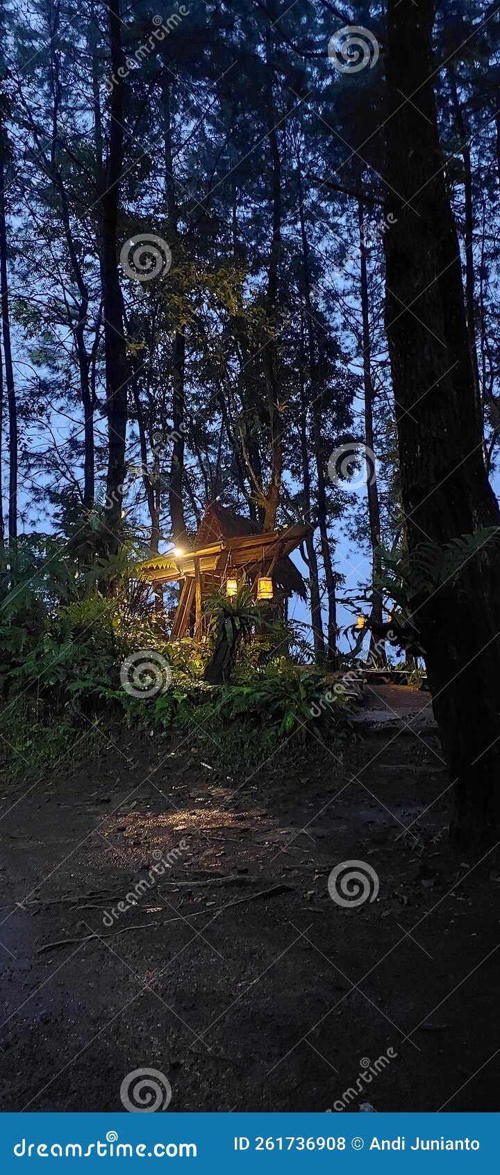 Nice Forest house stock photo. Image of jungle, house - 261736908