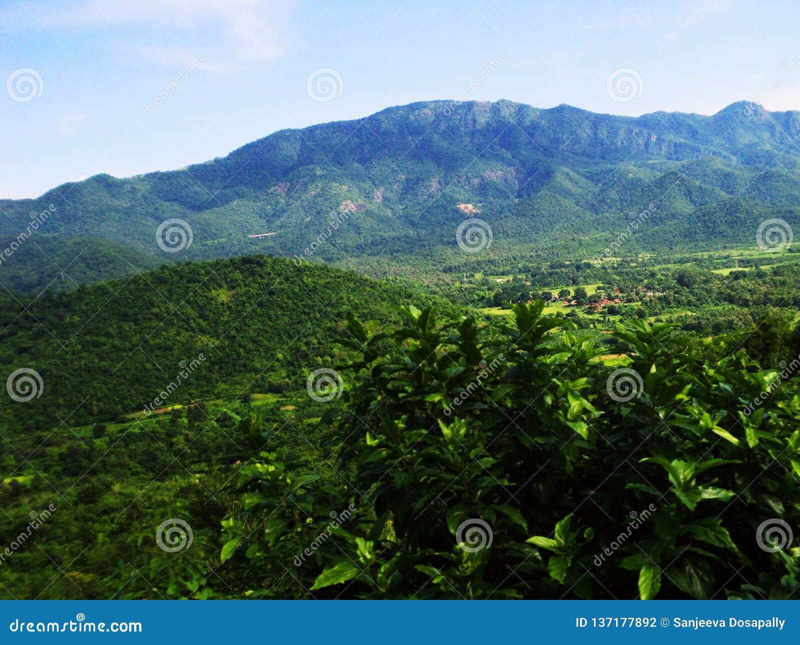 Nice Forest Landscape and Hills Greenery Stock Photo - Image of ...