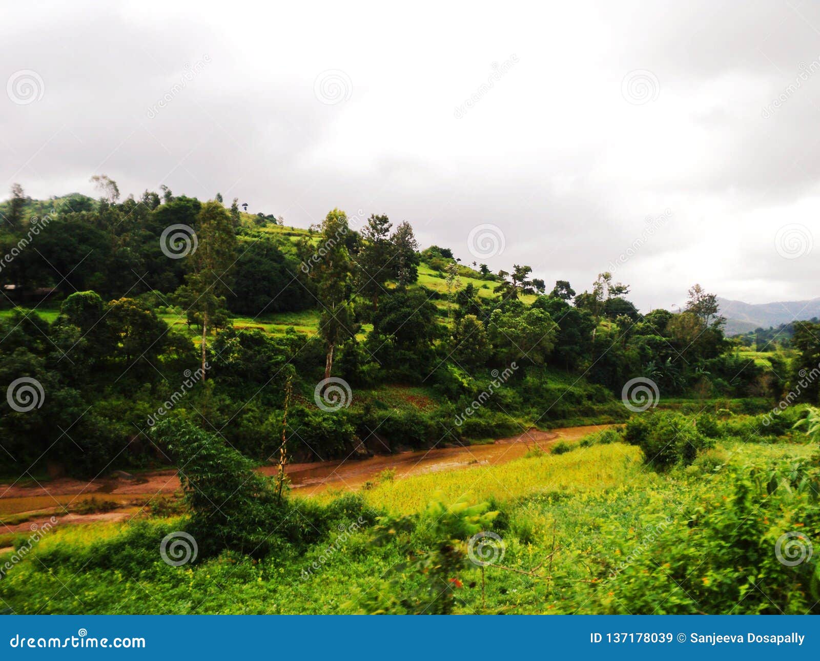 Nice Forest Landscape and Hills Greenery Stock Image - Image of ...
