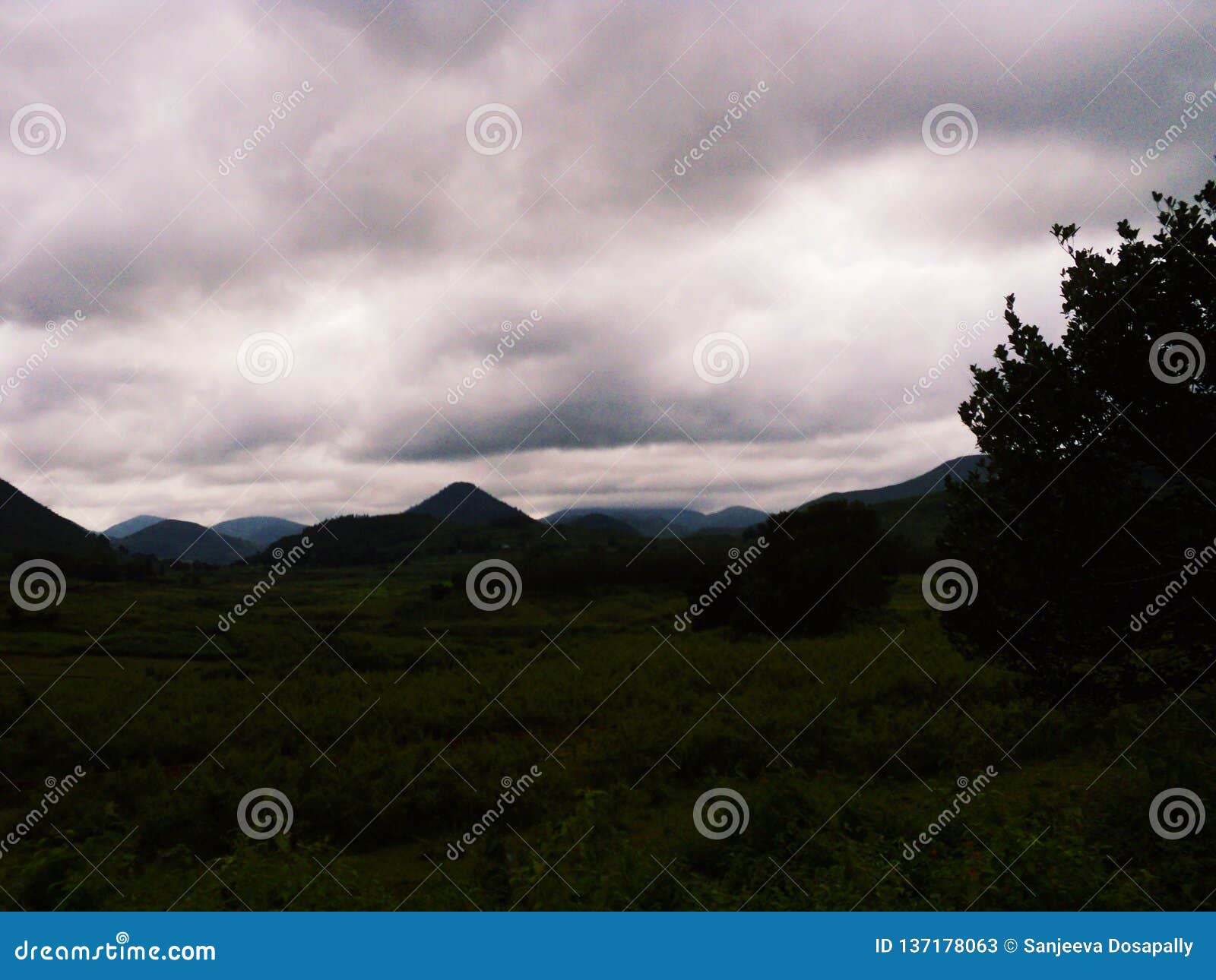 Nice Forest Landscape and Hills Greenery Stock Image - Image of blue ...
