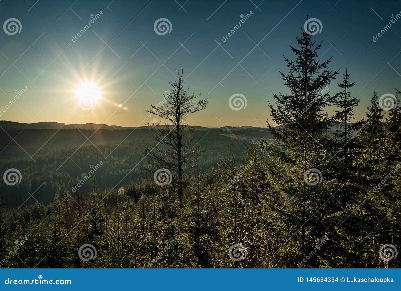 Nice Forest Landscape And Hills Greenery Royalty-Free Stock Photo ...