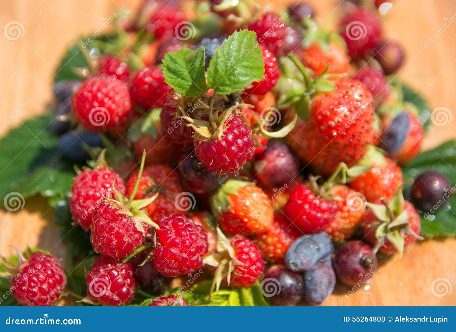 Nice Fresh Berry Collection Stock Photo - Image of nice, green: 56264800
