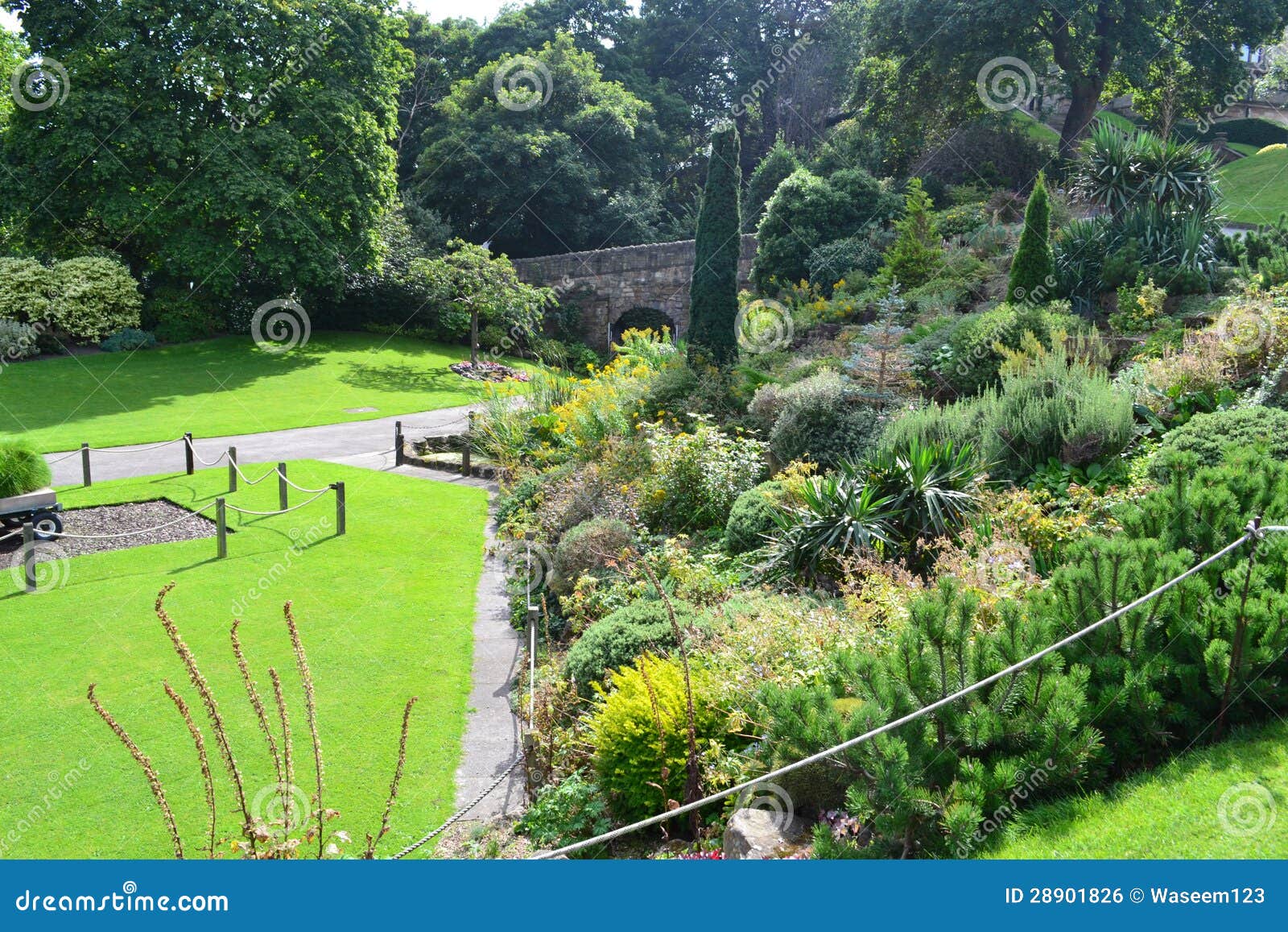 Nice Garden stock photo. Image of garden, grass, nature - 28901826