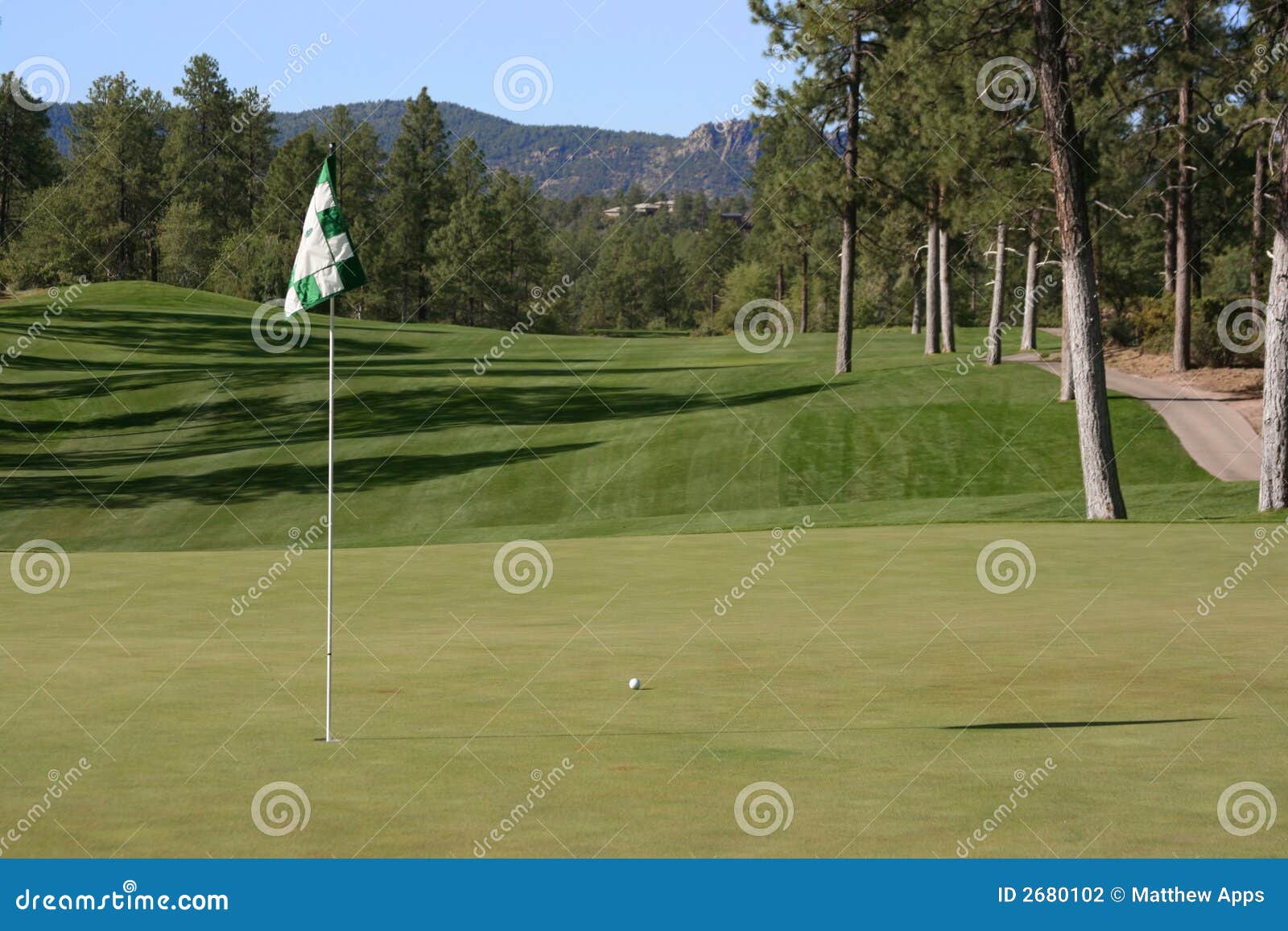 Nice Golf Shot with Ball Close Stock Photo - Image of birdie, golf: 2680102
