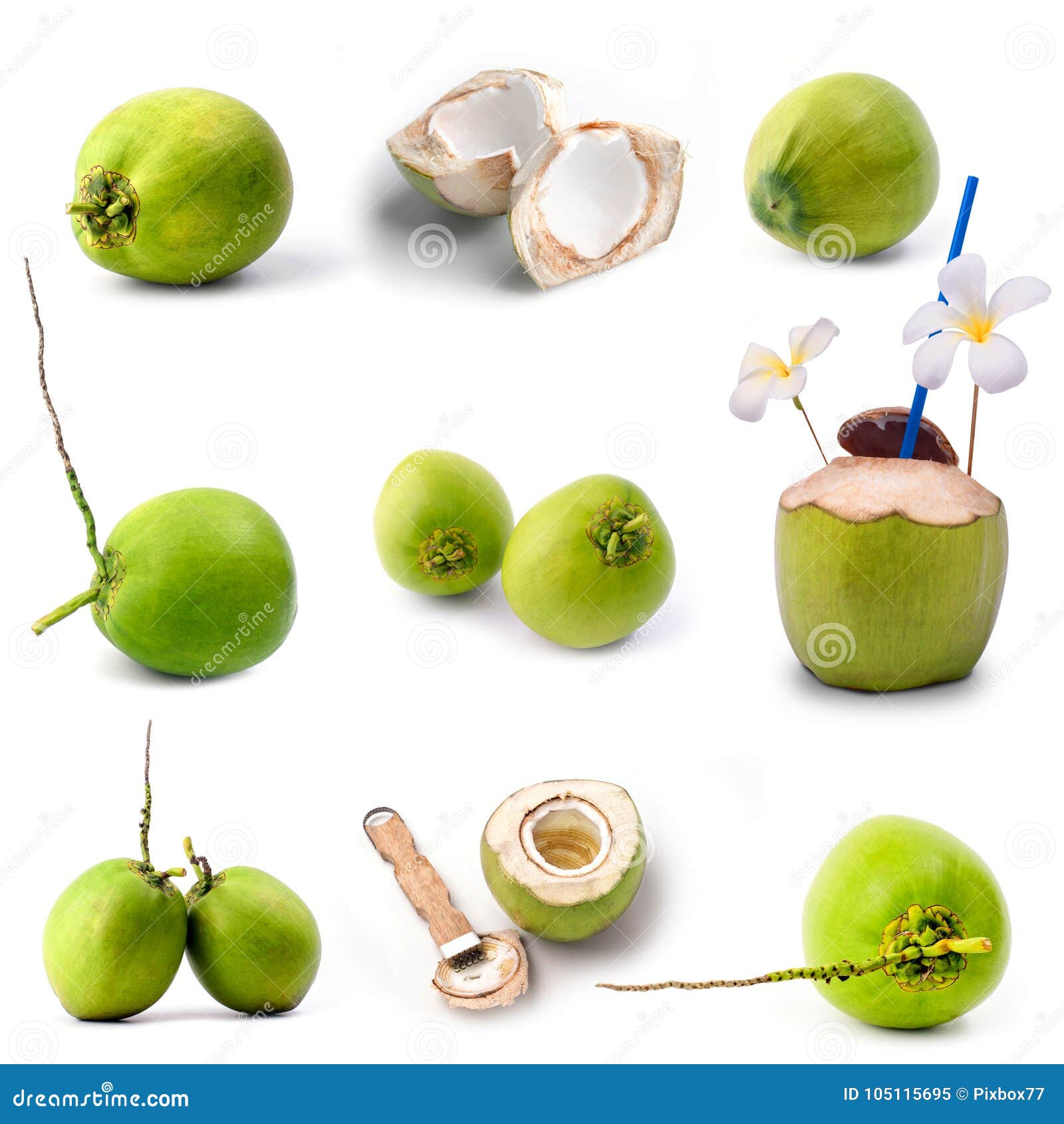 Nice Green Coconut Fruit Isolated on White Stock Image - Image of ...