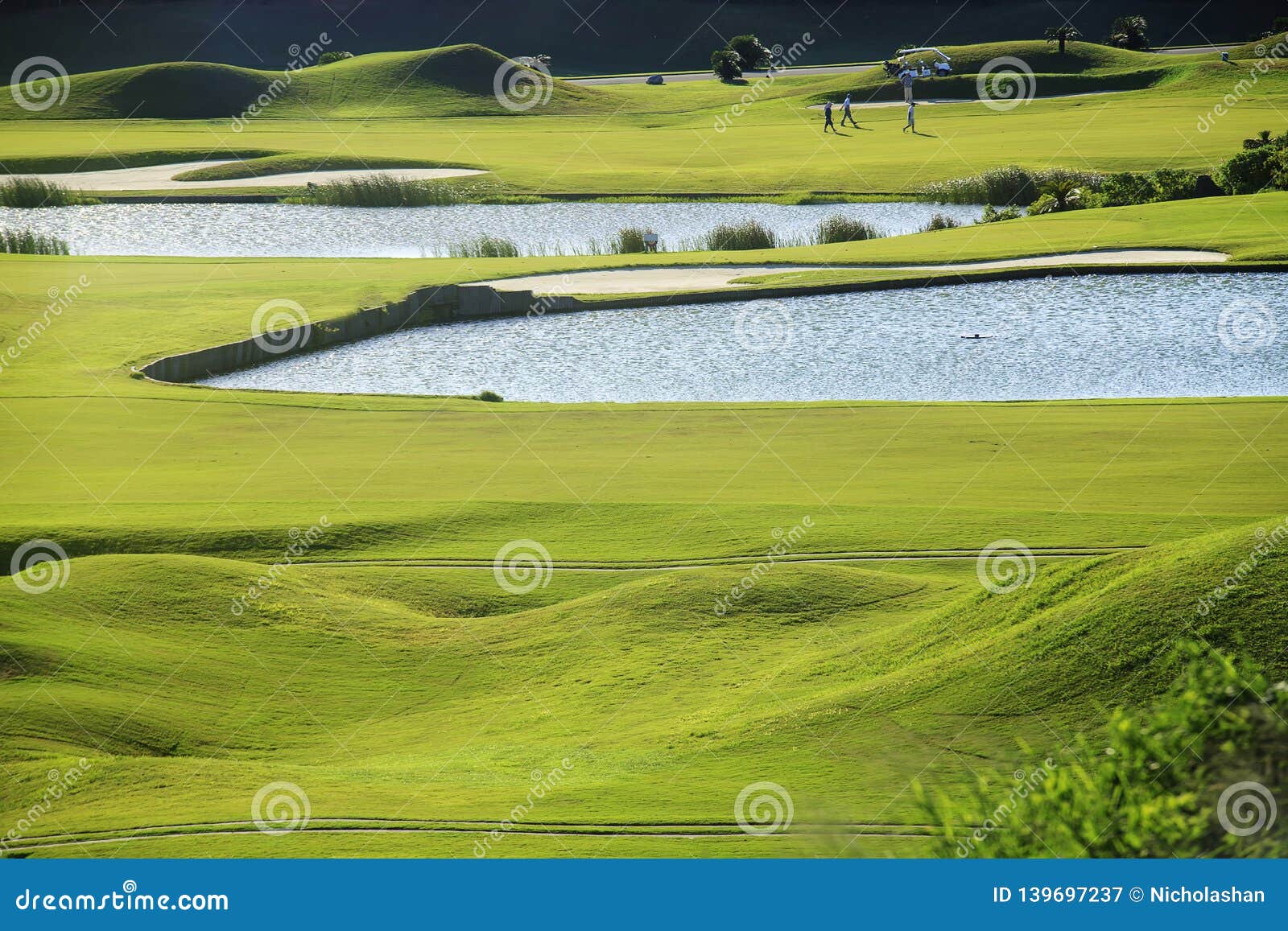 Nice Green Grass Golf Course. Golf Club Stock Image - Image of cart ...