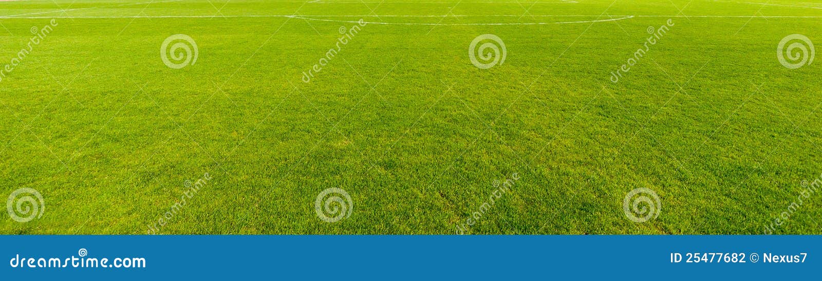 Nice Green Grass Texture stock photo. Image of golf, order - 25477682