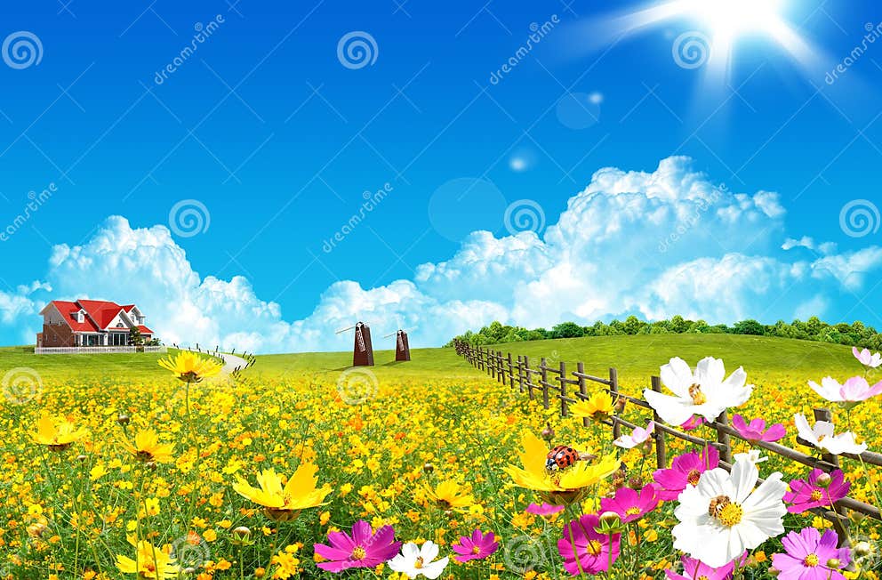 Nice house on green field stock photo. Image of park - 14180906