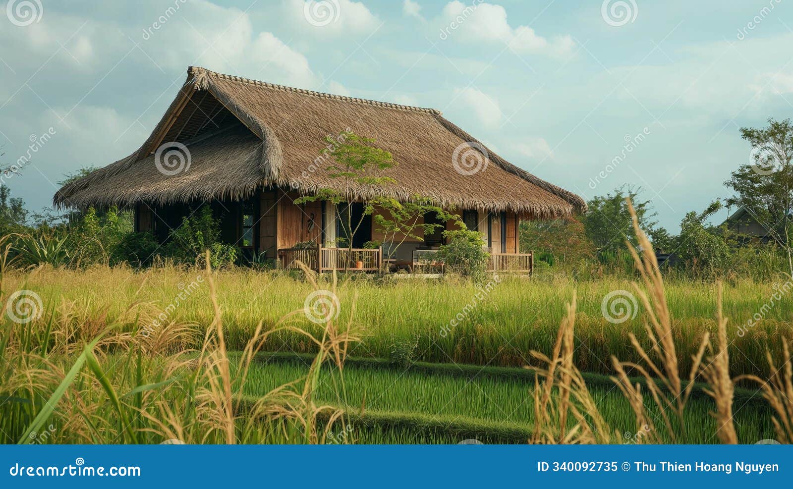 Nice Landscape Theme for Wallpaper Stock Image - Image of plant, rice ...